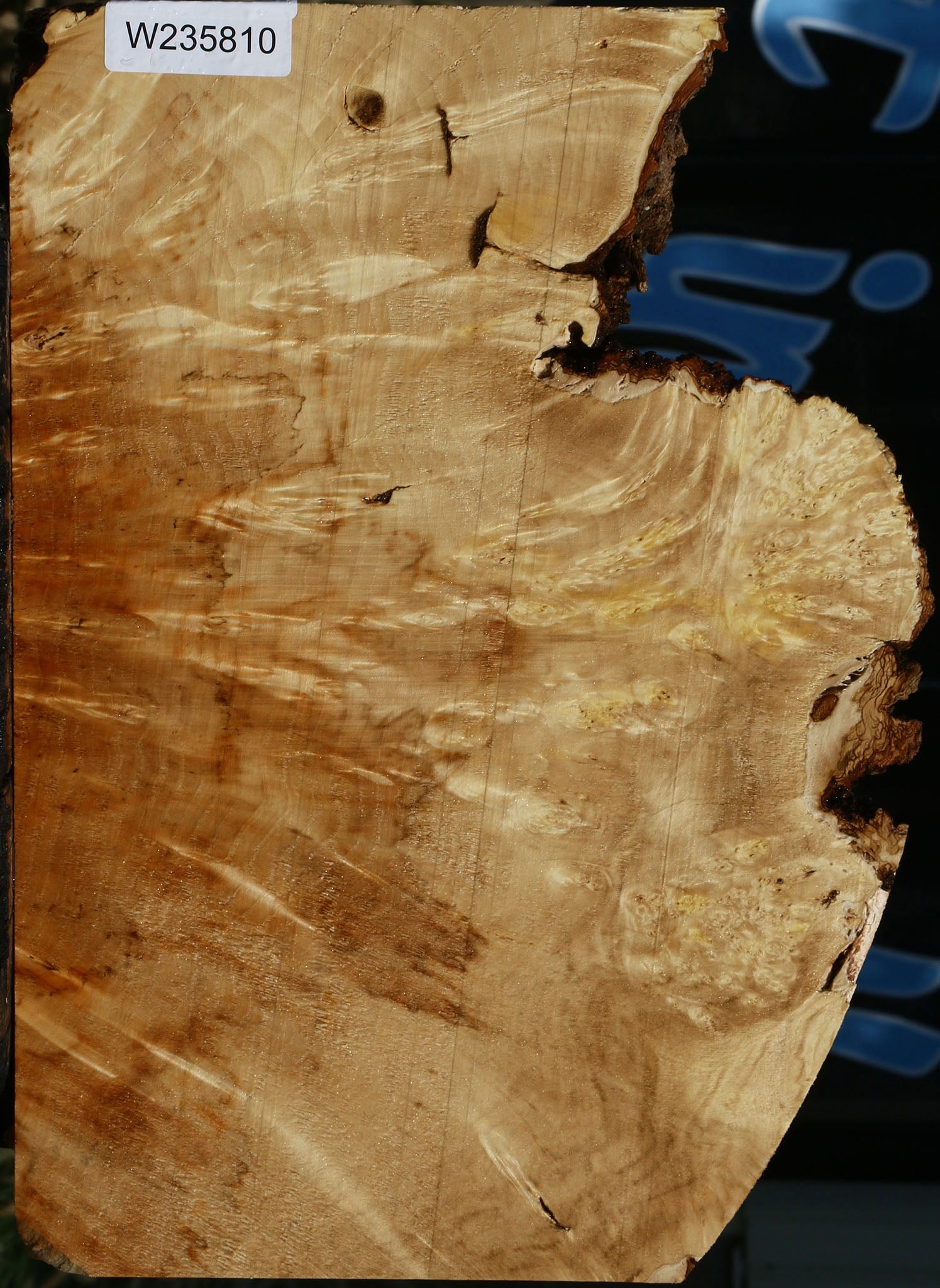 Box Elder Burl Slice – Cook Woods
