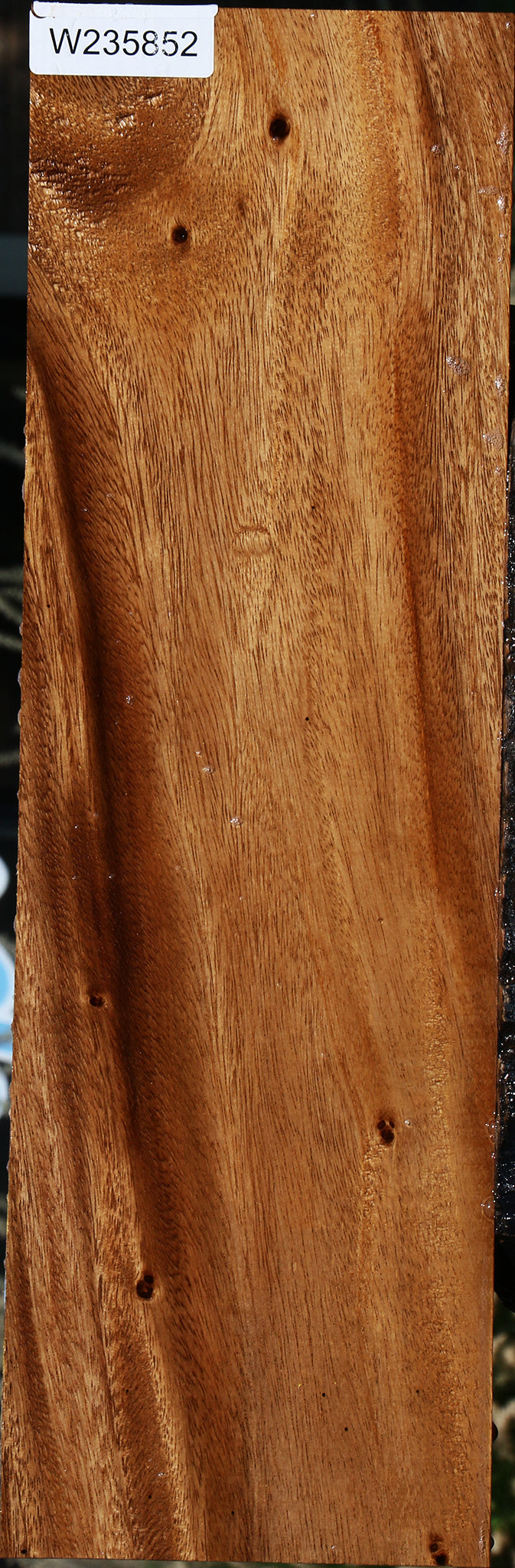 Monkeypod Lumber – Cook Woods