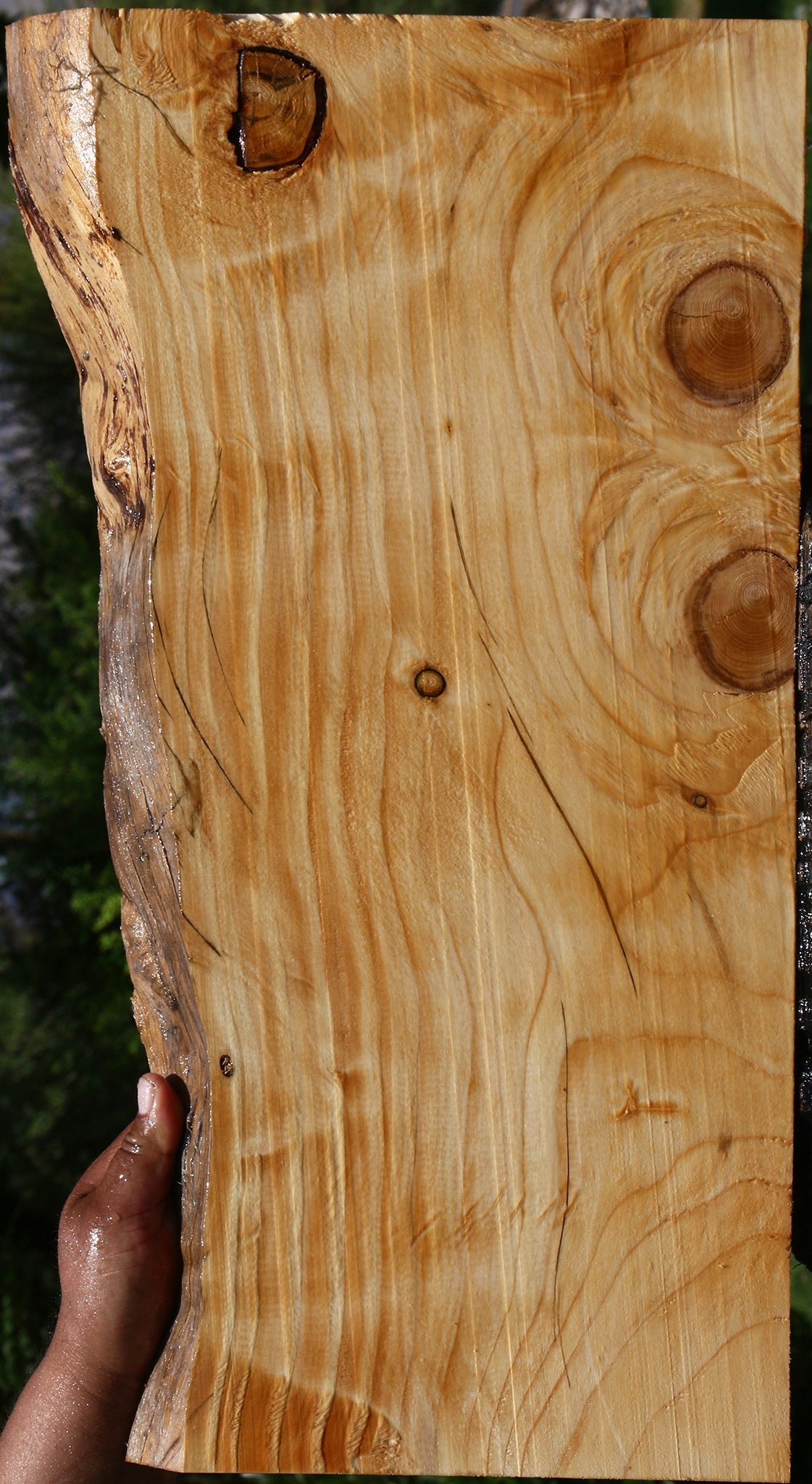 Sitka Spruce Live Edge Lumber – Cook Woods