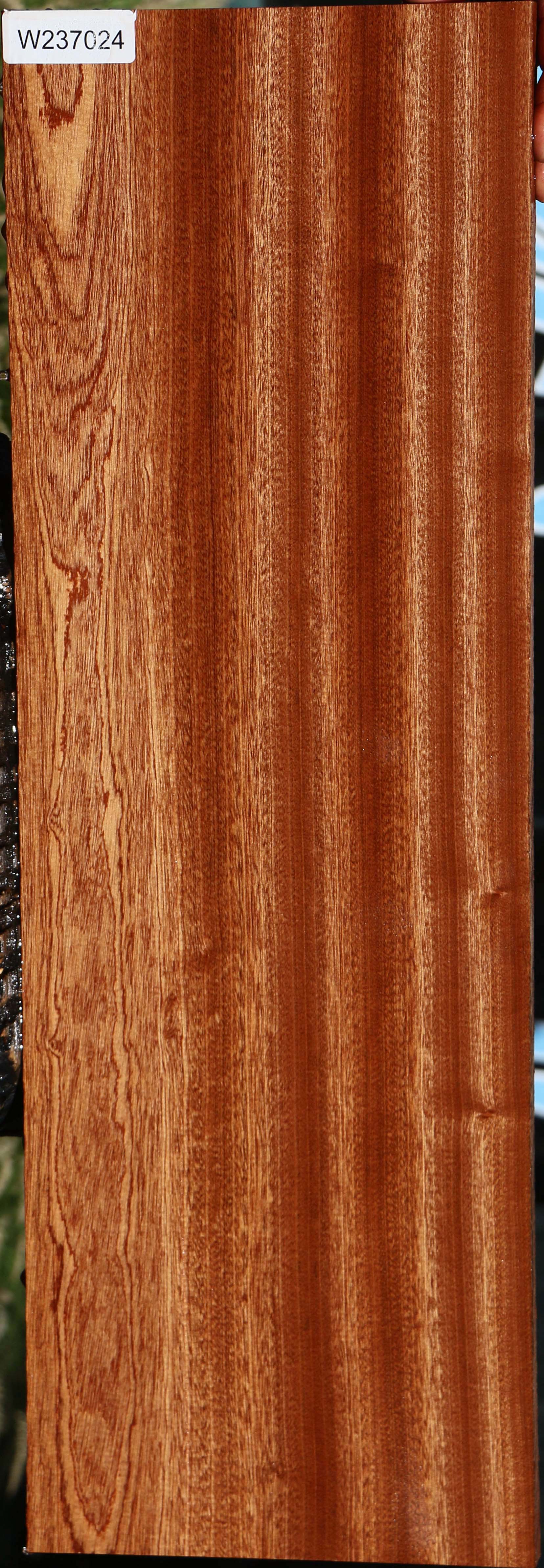 Sapele Lumber – Cook Woods