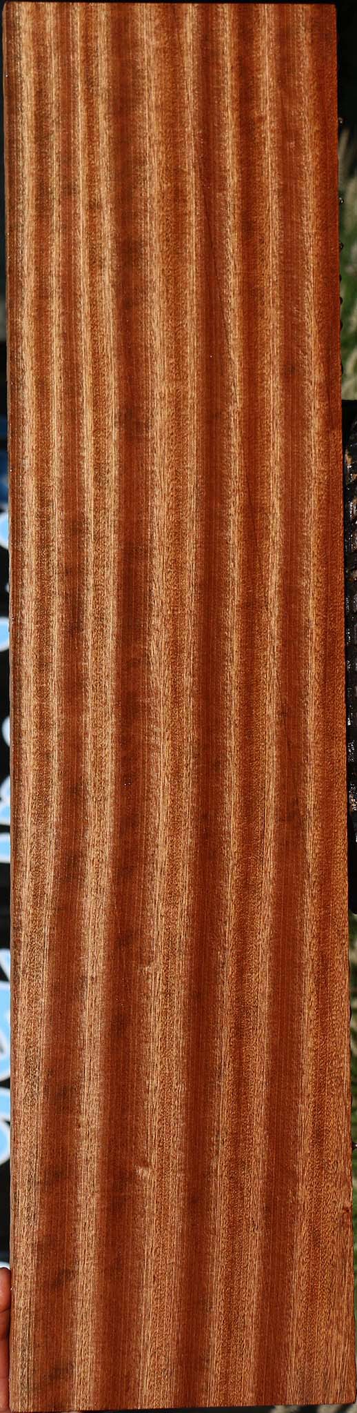 Figured Sapele Lumber – Cook Woods