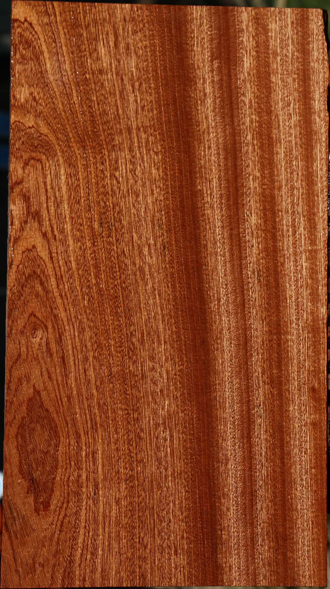 Sapele Lumber – Cook Woods