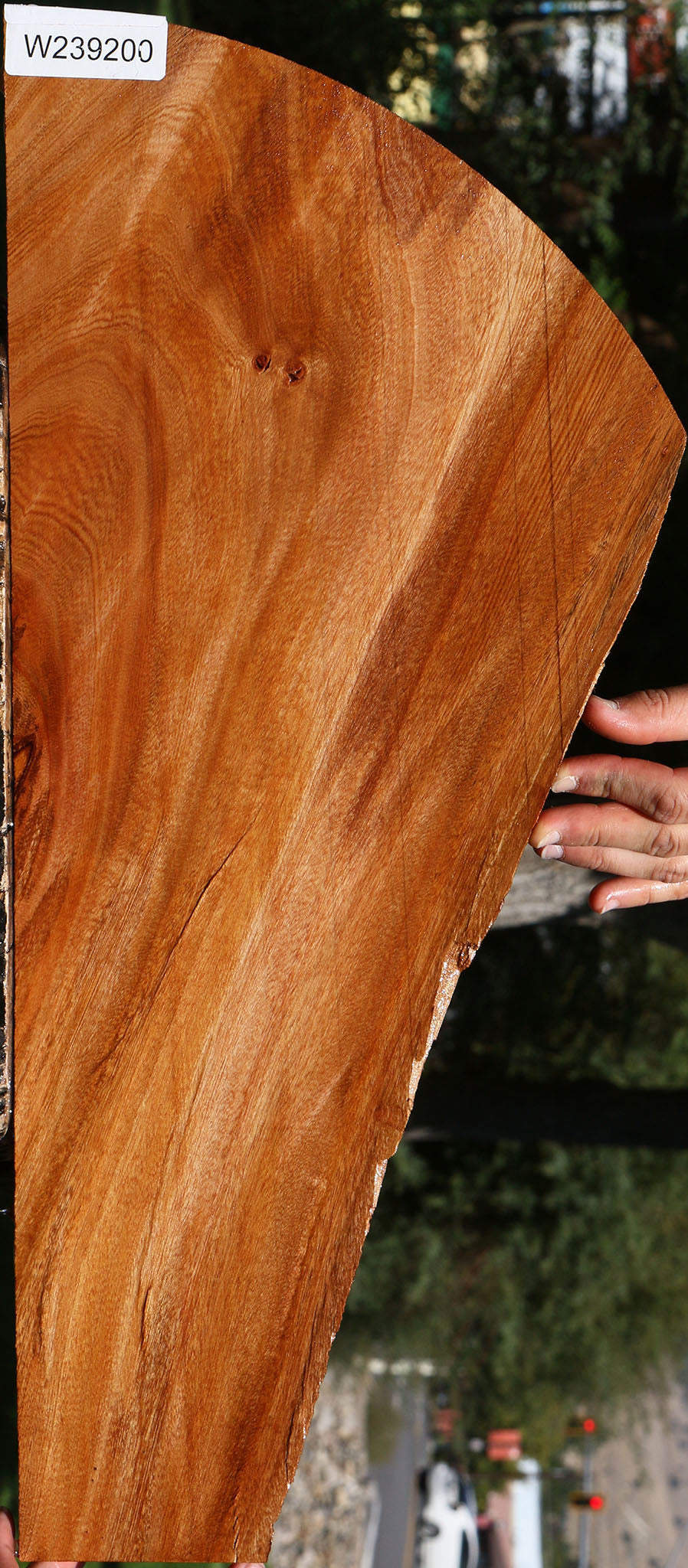 Pepperwood – Cook Woods