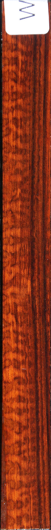 Snakewood – Cook Woods