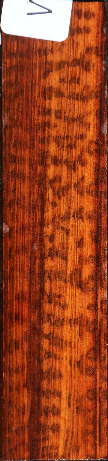 Snakewood – Cook Woods