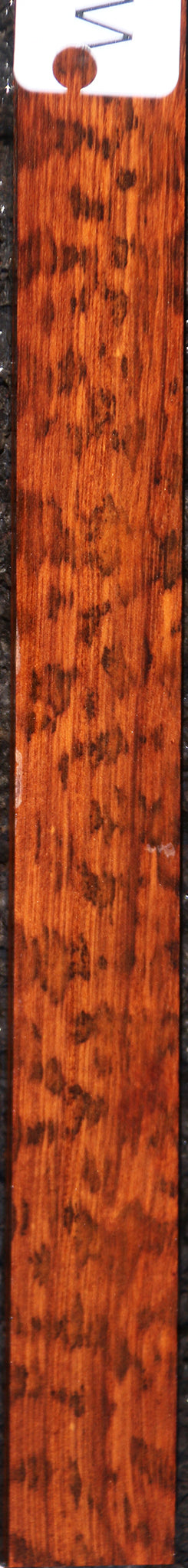 Snakewood – Cook Woods