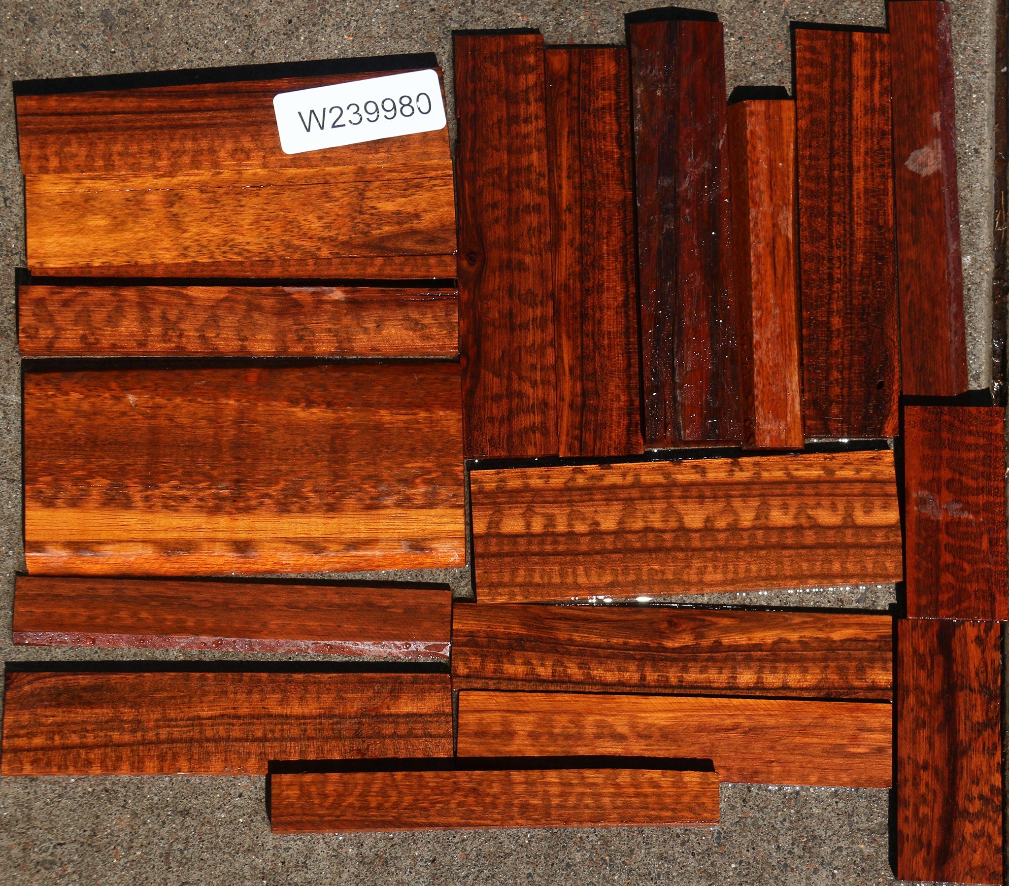 Snakewood – Cook Woods