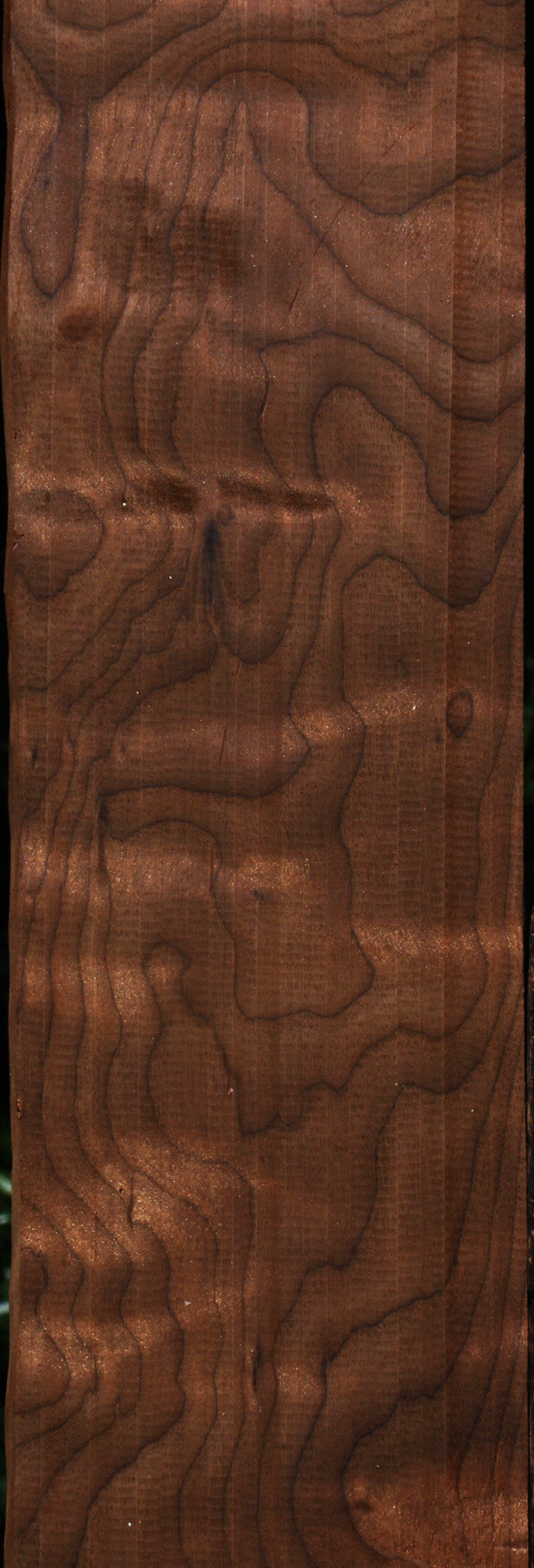 Extra Fancy Curly Caramelized Birch Lumber – Cook Woods