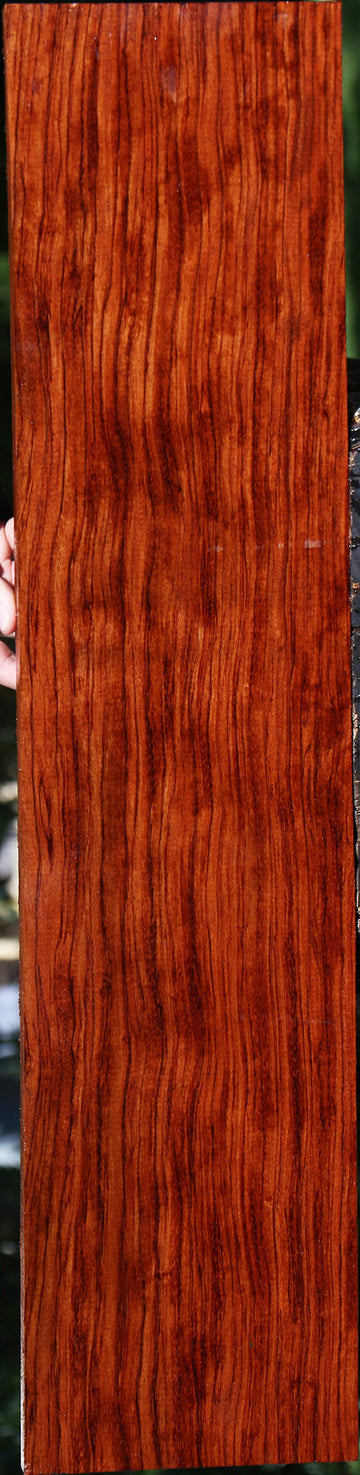 Bubinga – Cook Woods
