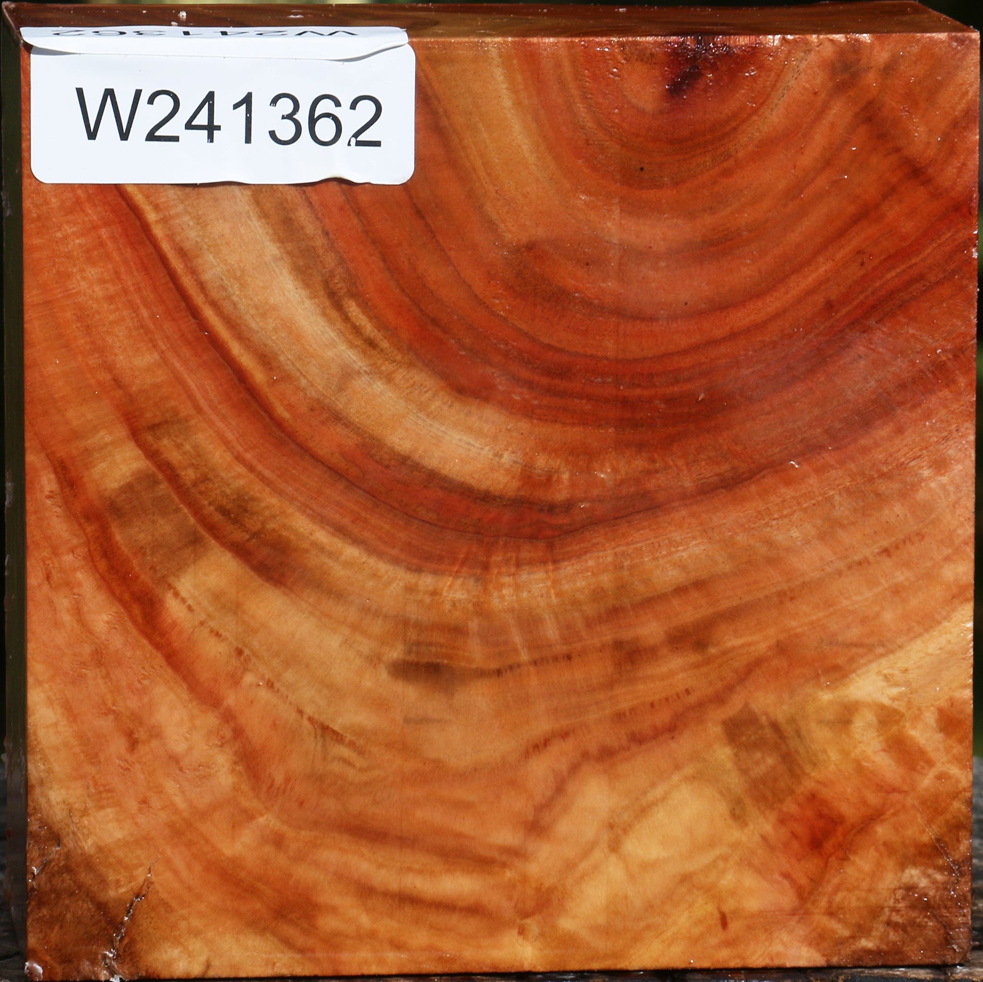 Extra Fancy Red Ironbark Bowl Blank – Cook Woods