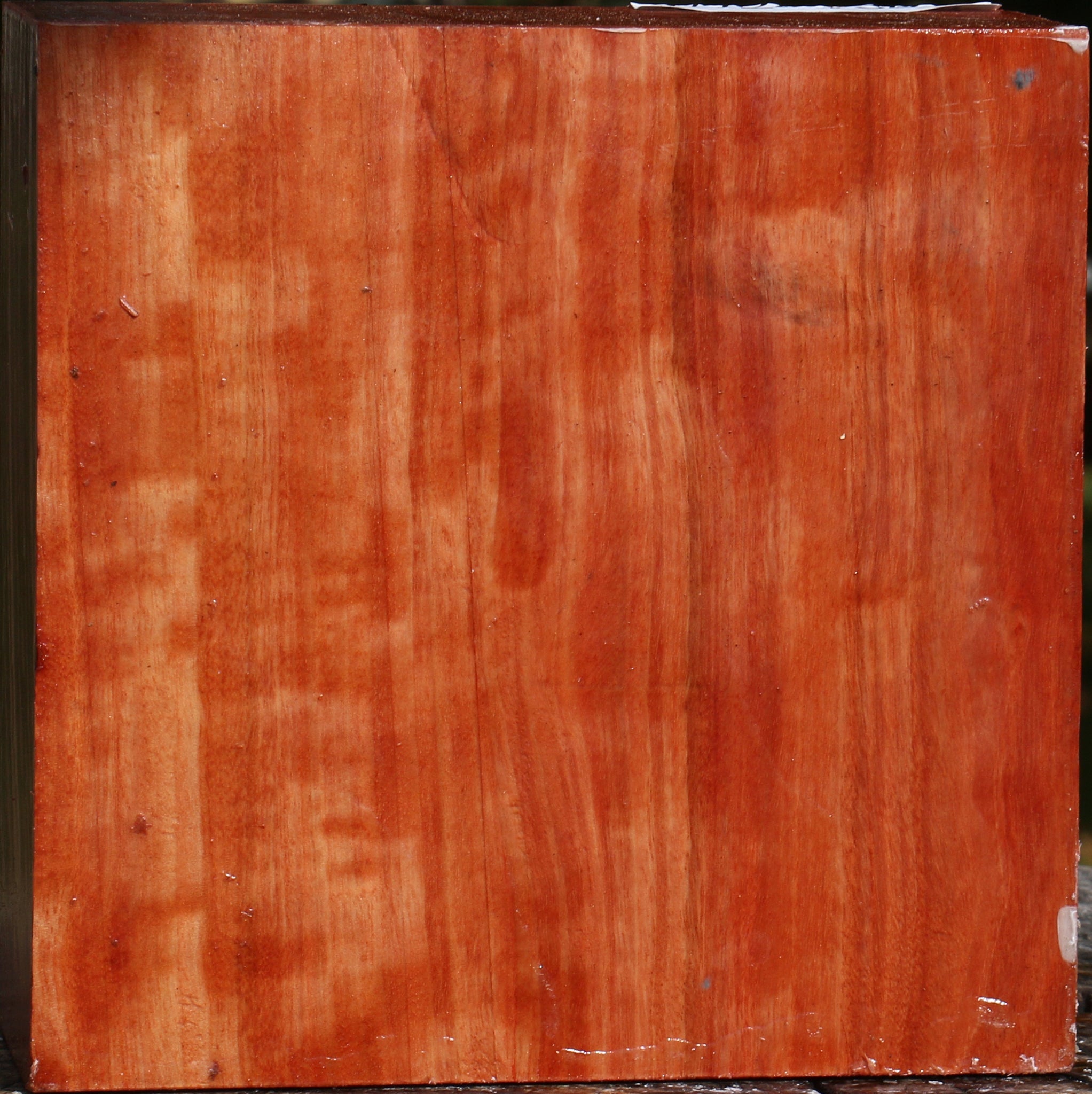 Extra Fancy Red Ironbark Bowl Blank – Cook Woods