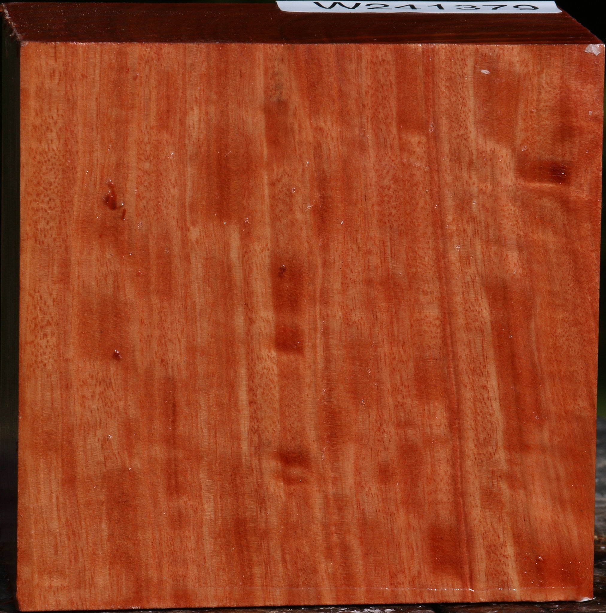 Extra Fancy Red Ironbark Bowl Blank – Cook Woods