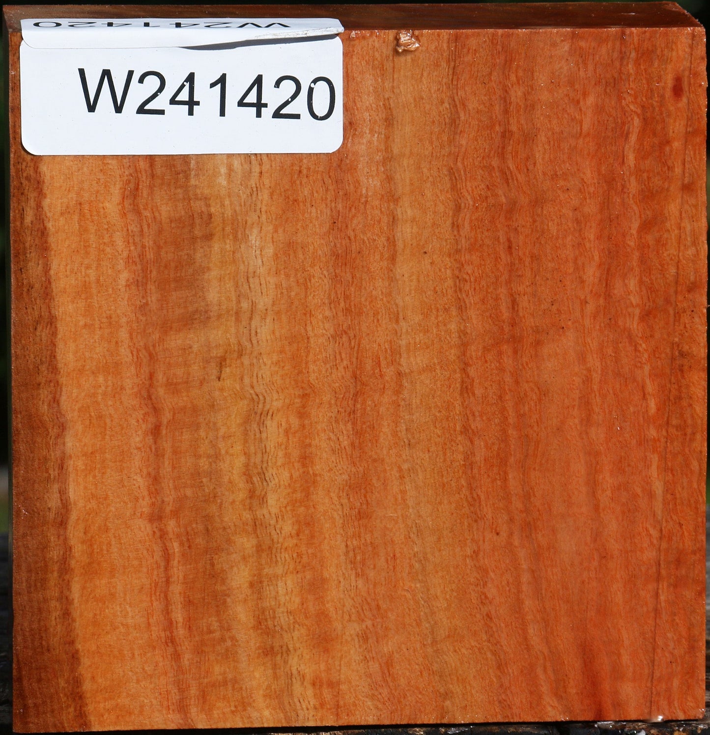 Extra Fancy Red Ironbark Bowl Blank – Cook Woods