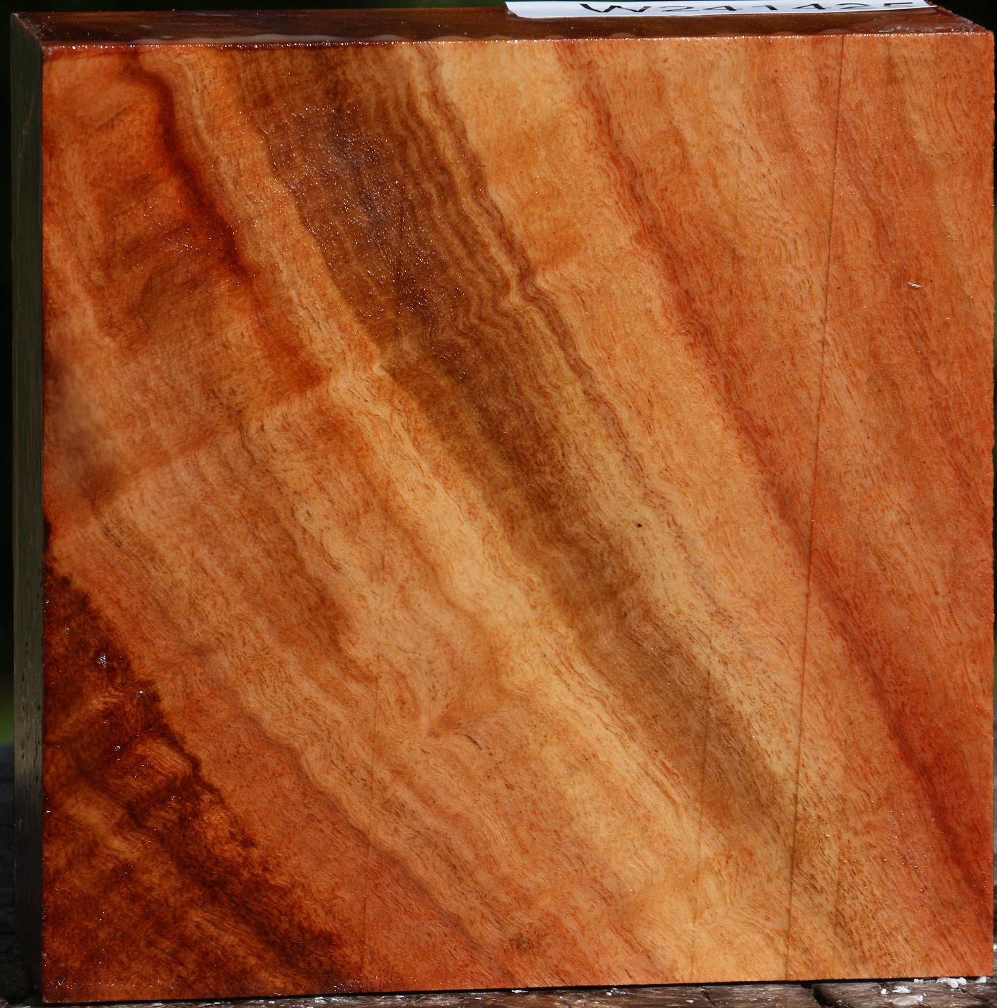 Extra Fancy Red Ironbark Bowl Blank – Cook Woods