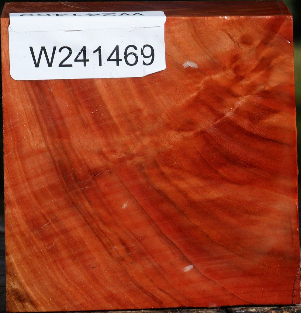 Extra Fancy Red Ironbark Bowl Blank – Cook Woods