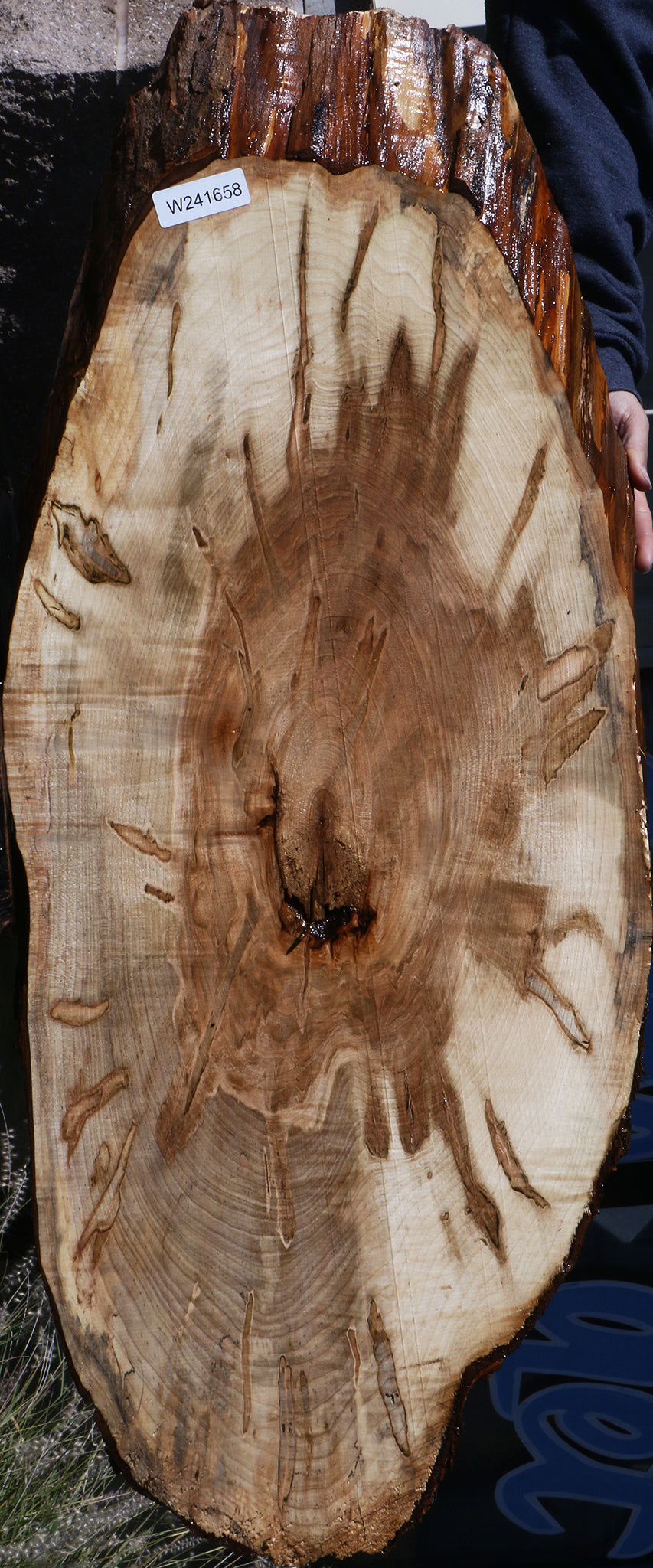 Cookies & Burl Slices – Cook Woods