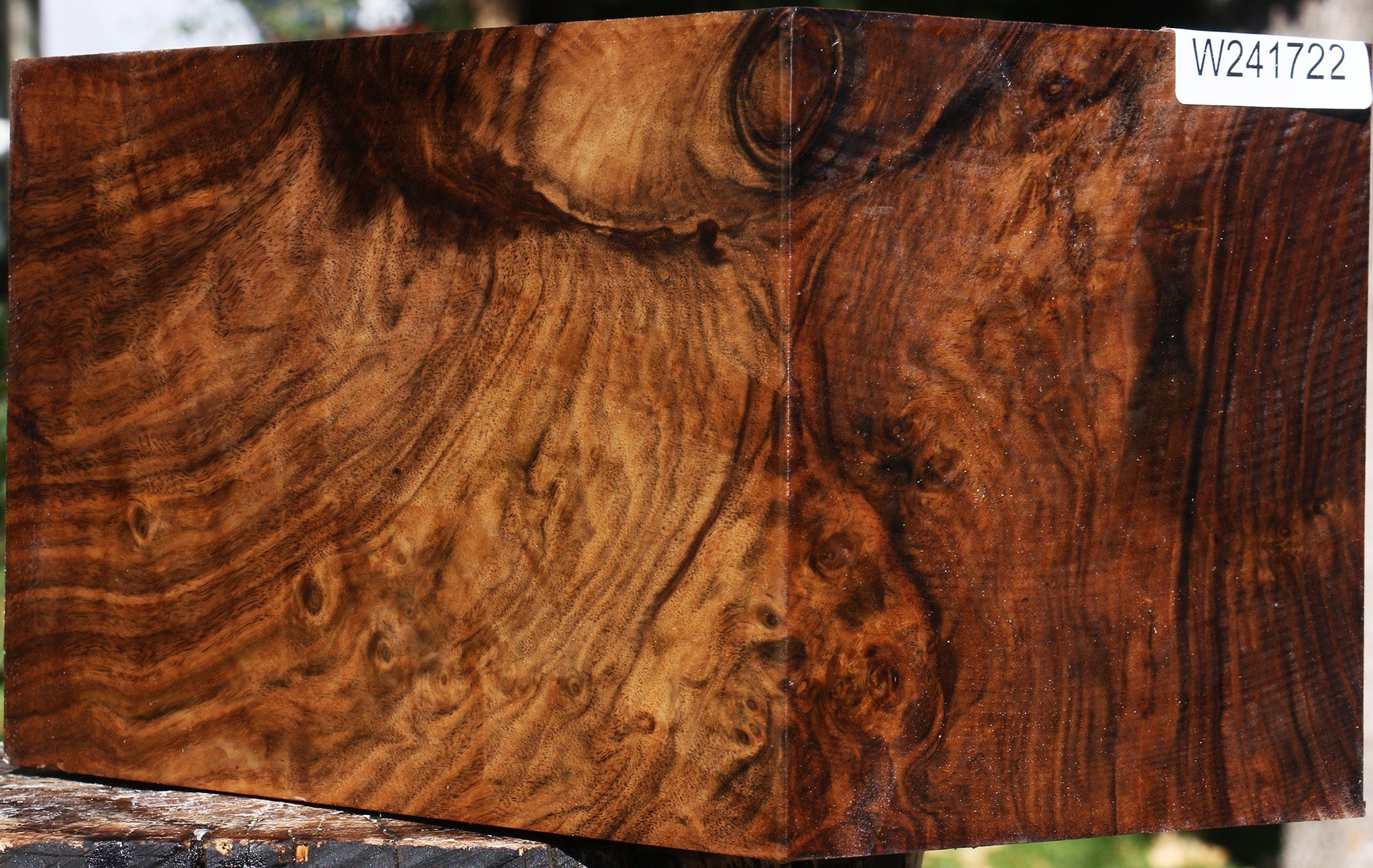 Extra Fancy Claro Walnut Vessel Blank – Cook Woods