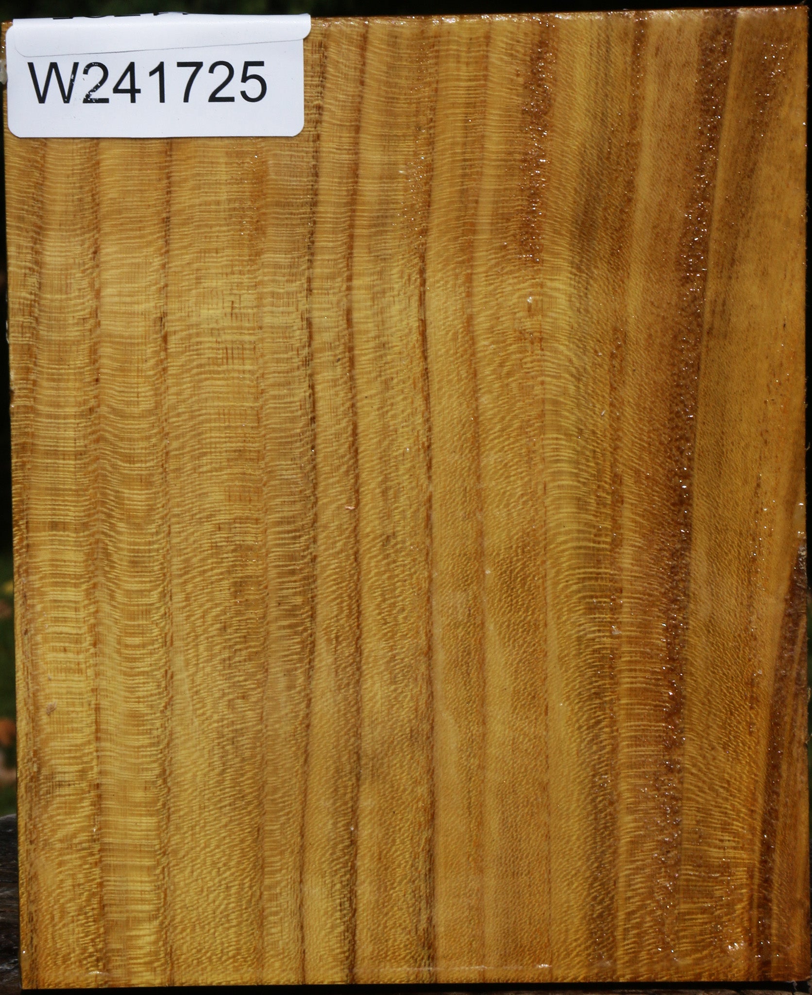 Figured Mulberry Bowl Blank – Cook Woods