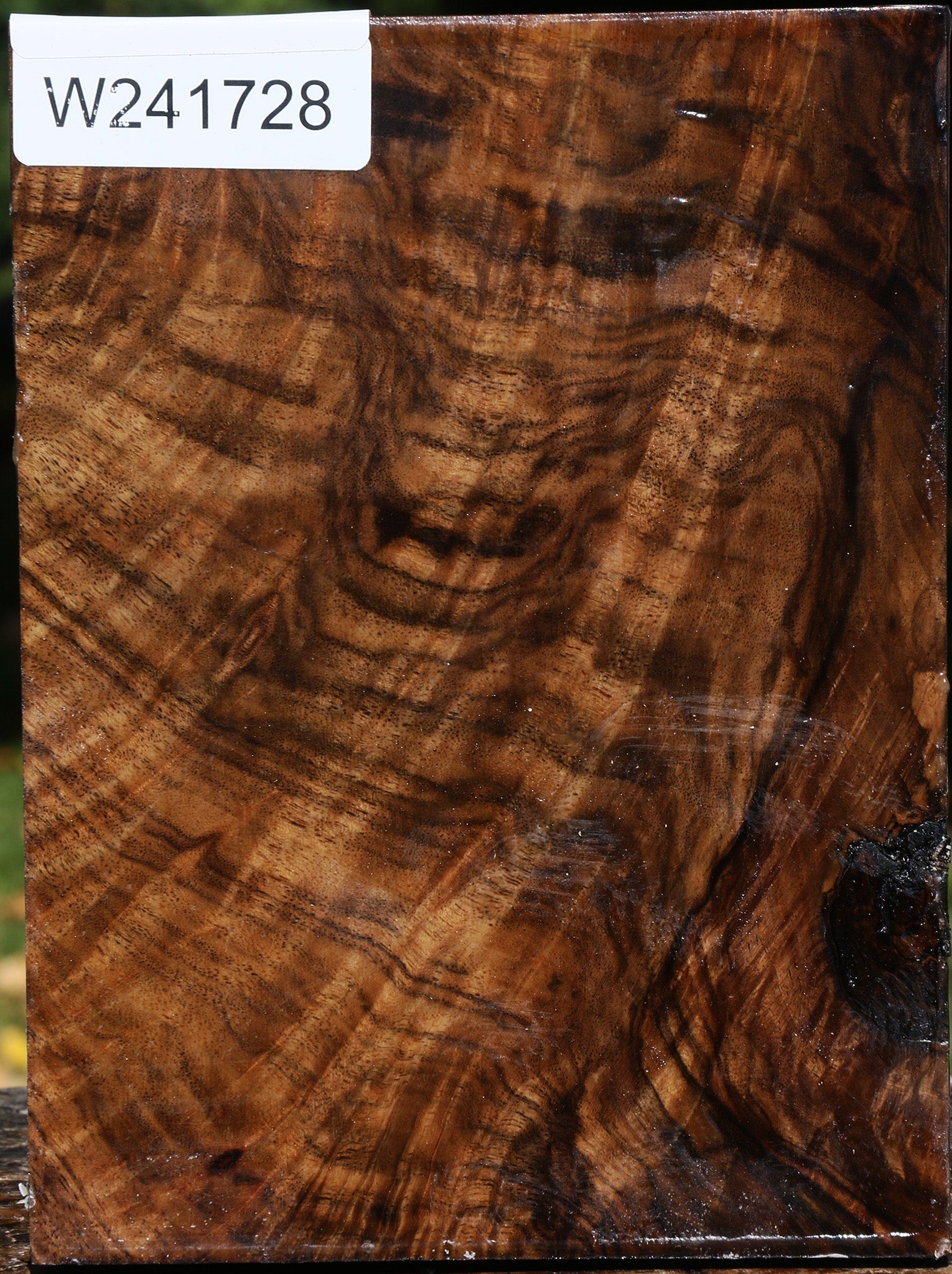 Figured Claro Walnut Vessel Blank – Cook Woods