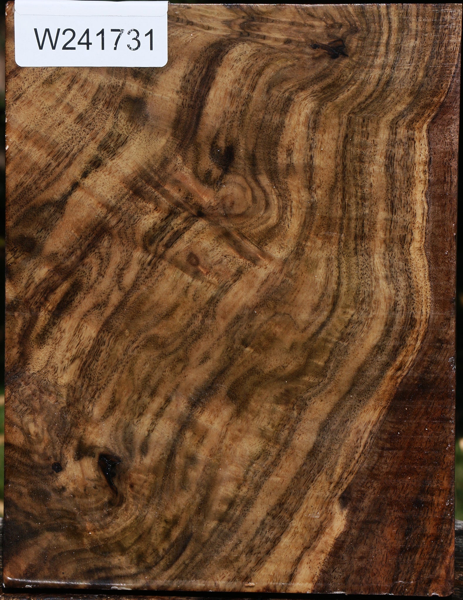 Figured Claro Walnut Vessel Blank – Cook Woods