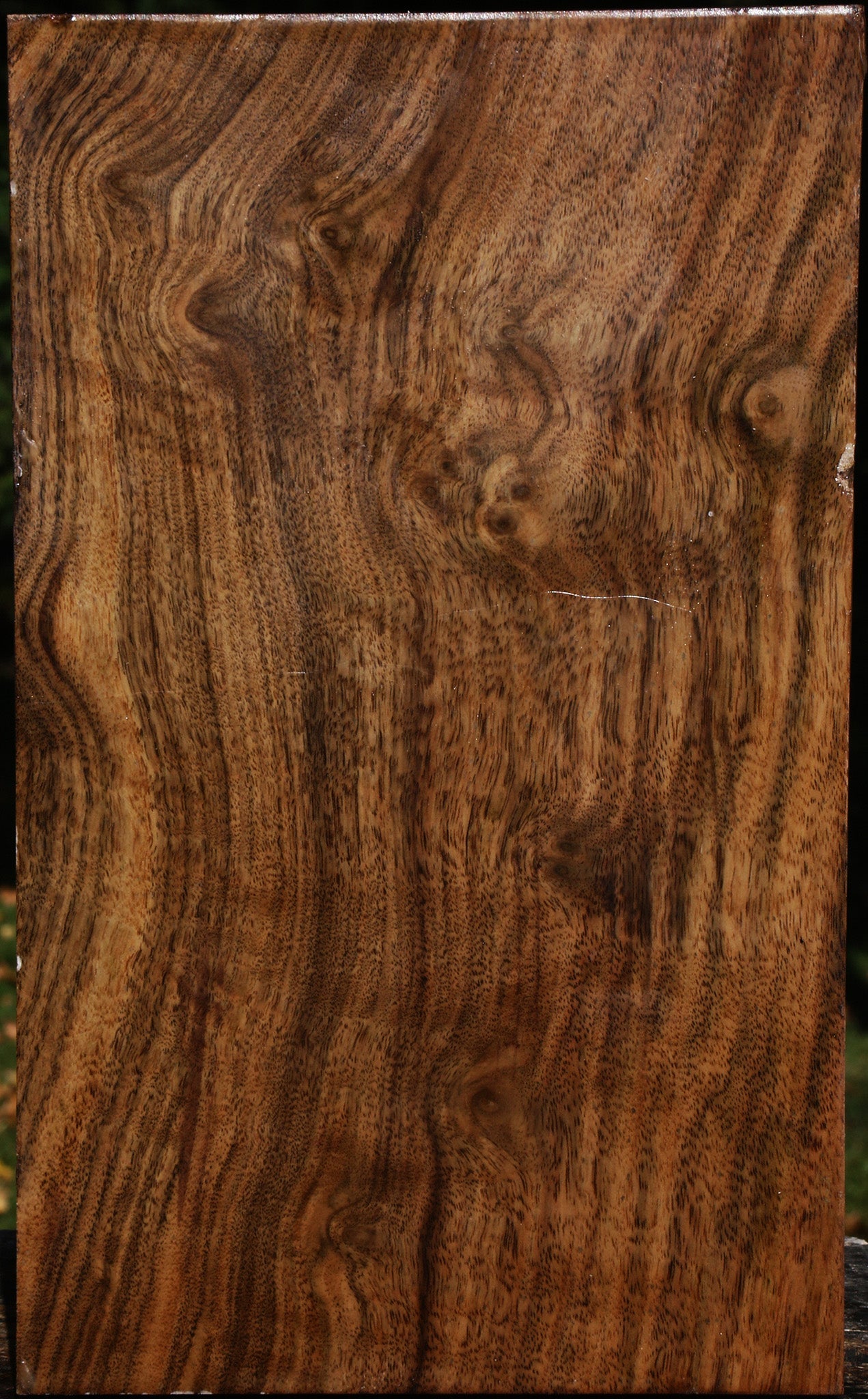 Claro Walnut Vessel Blank – Cook Woods