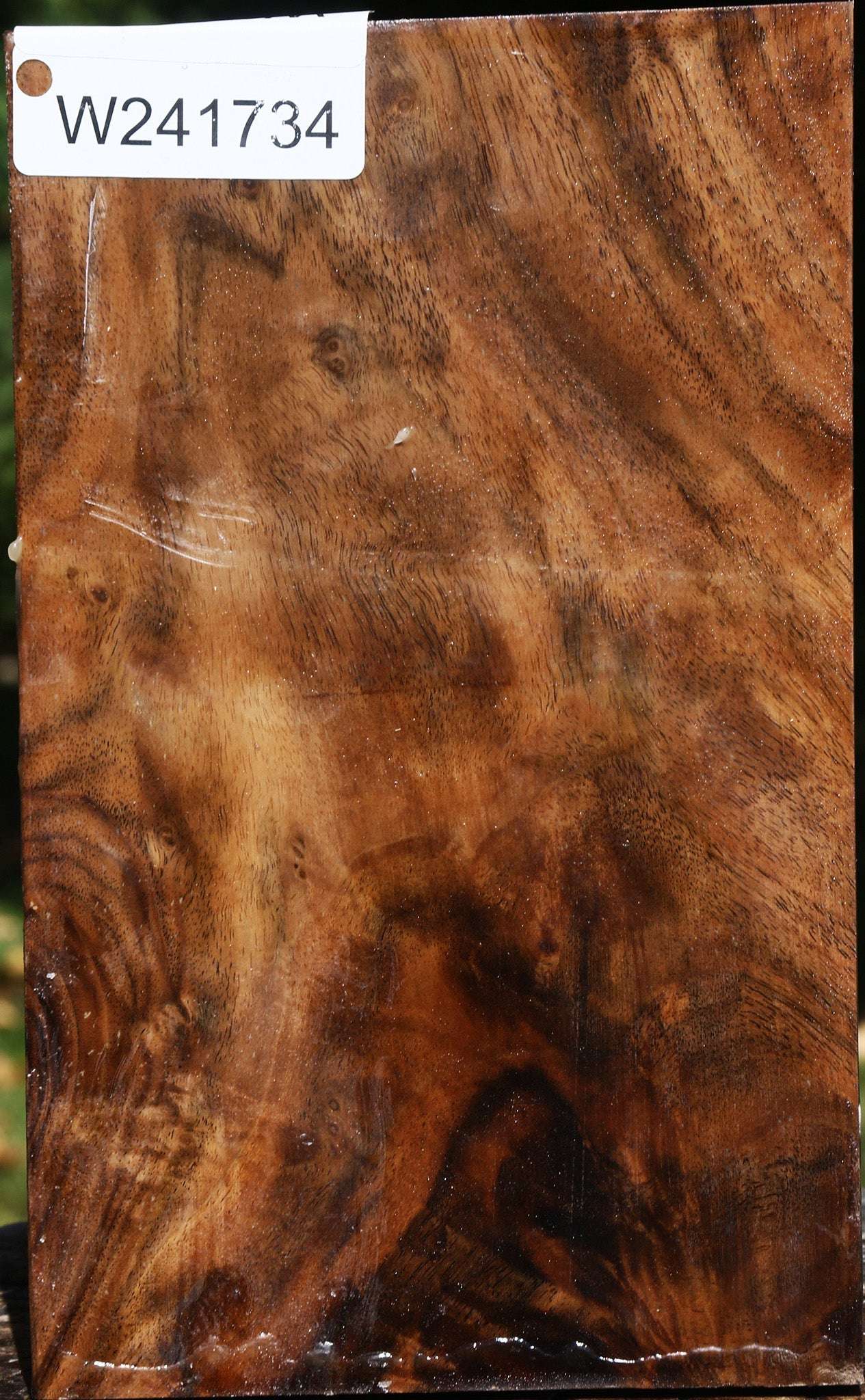 Figured Claro Walnut Vessel Blank – Cook Woods