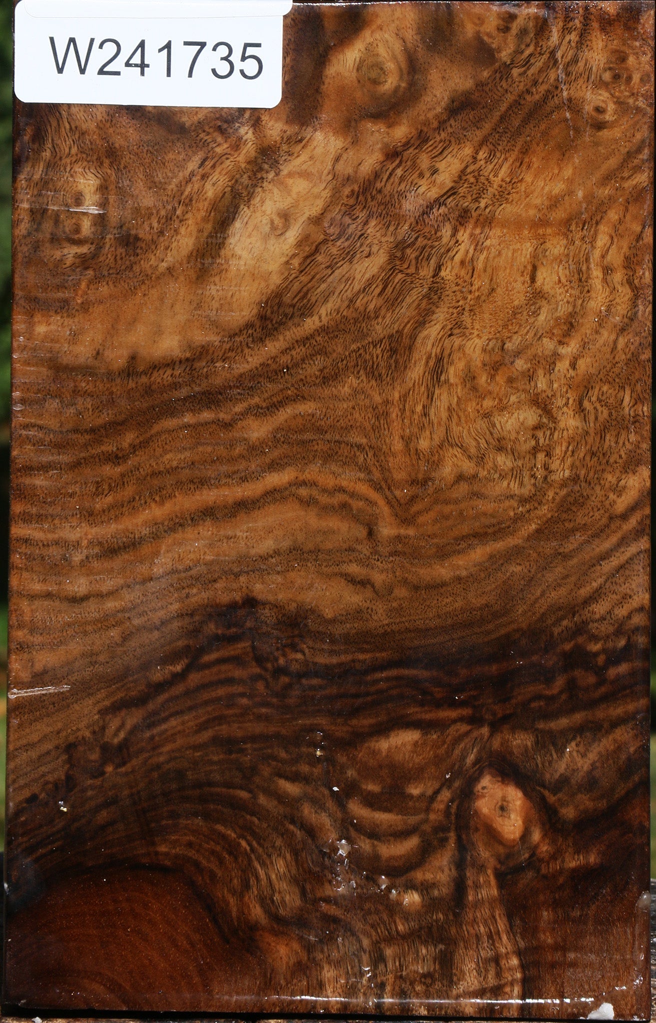 Figured Claro Walnut Vessel Blank – Cook Woods