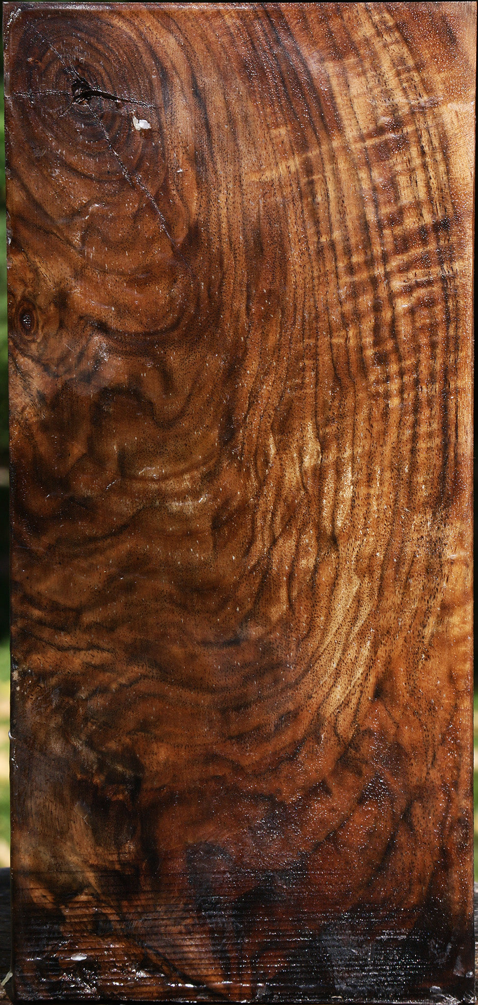 Extra Fancy Claro Walnut Vessel Blank – Cook Woods