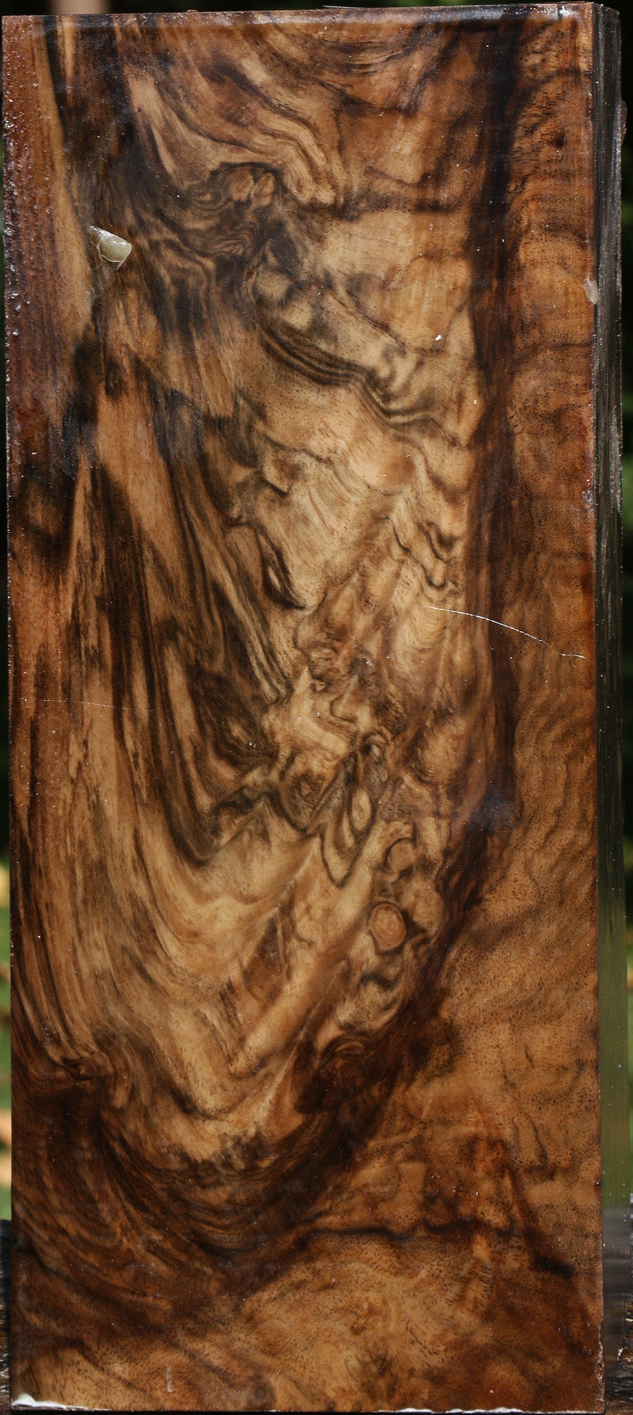 Extra Fancy Claro Walnut Vessel Blank – Cook Woods