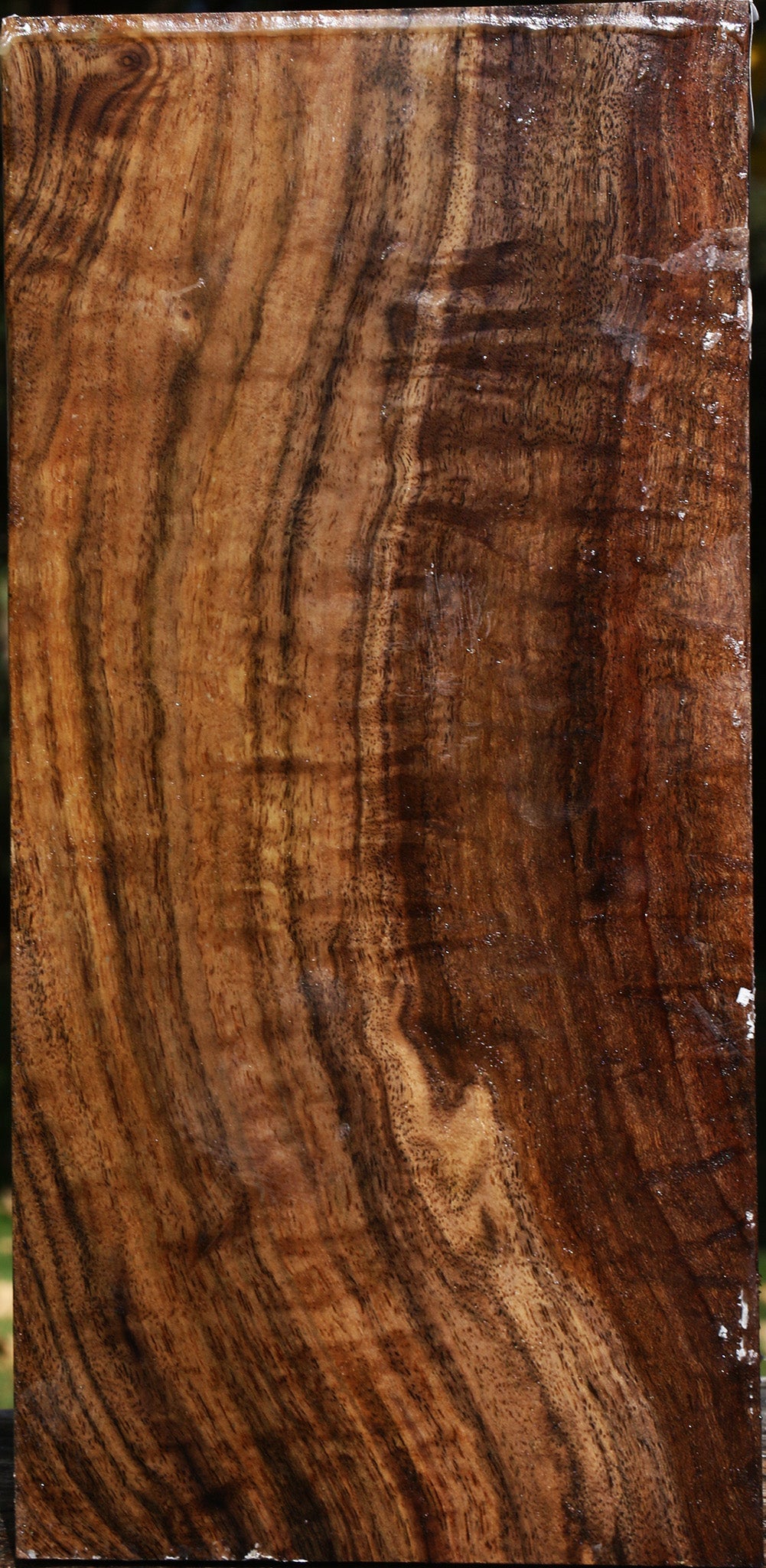 Figured Claro Walnut Vessel Blank – Cook Woods