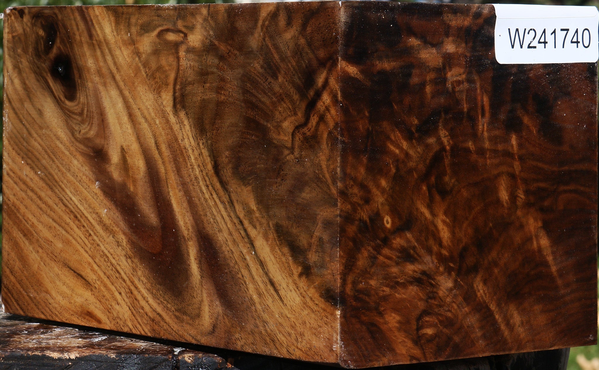 Extra Fancy Claro Walnut Vessel Blank – Cook Woods