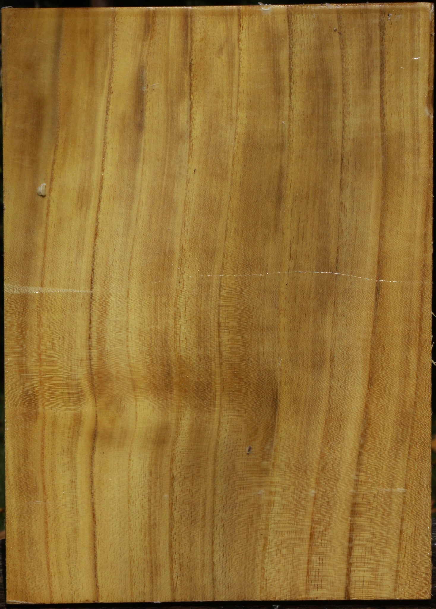 Figured Mulberry Vessel Blank – Cook Woods