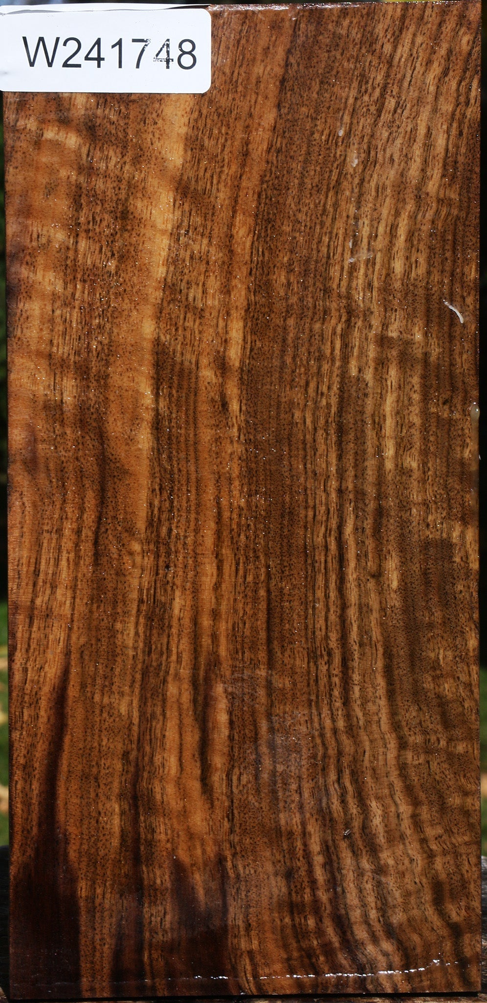 Claro Walnut Vessel Blank – Cook Woods