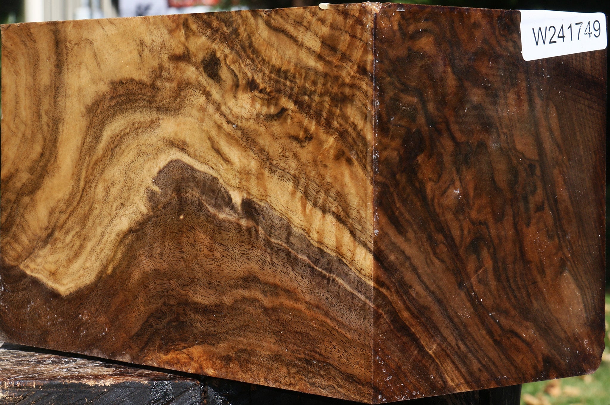 Extra Fancy Claro Walnut Vessel Blank – Cook Woods