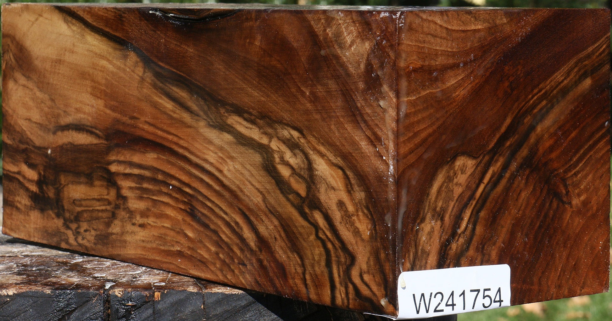 Extra Fancy Claro Walnut Vessel Blank – Cook Woods