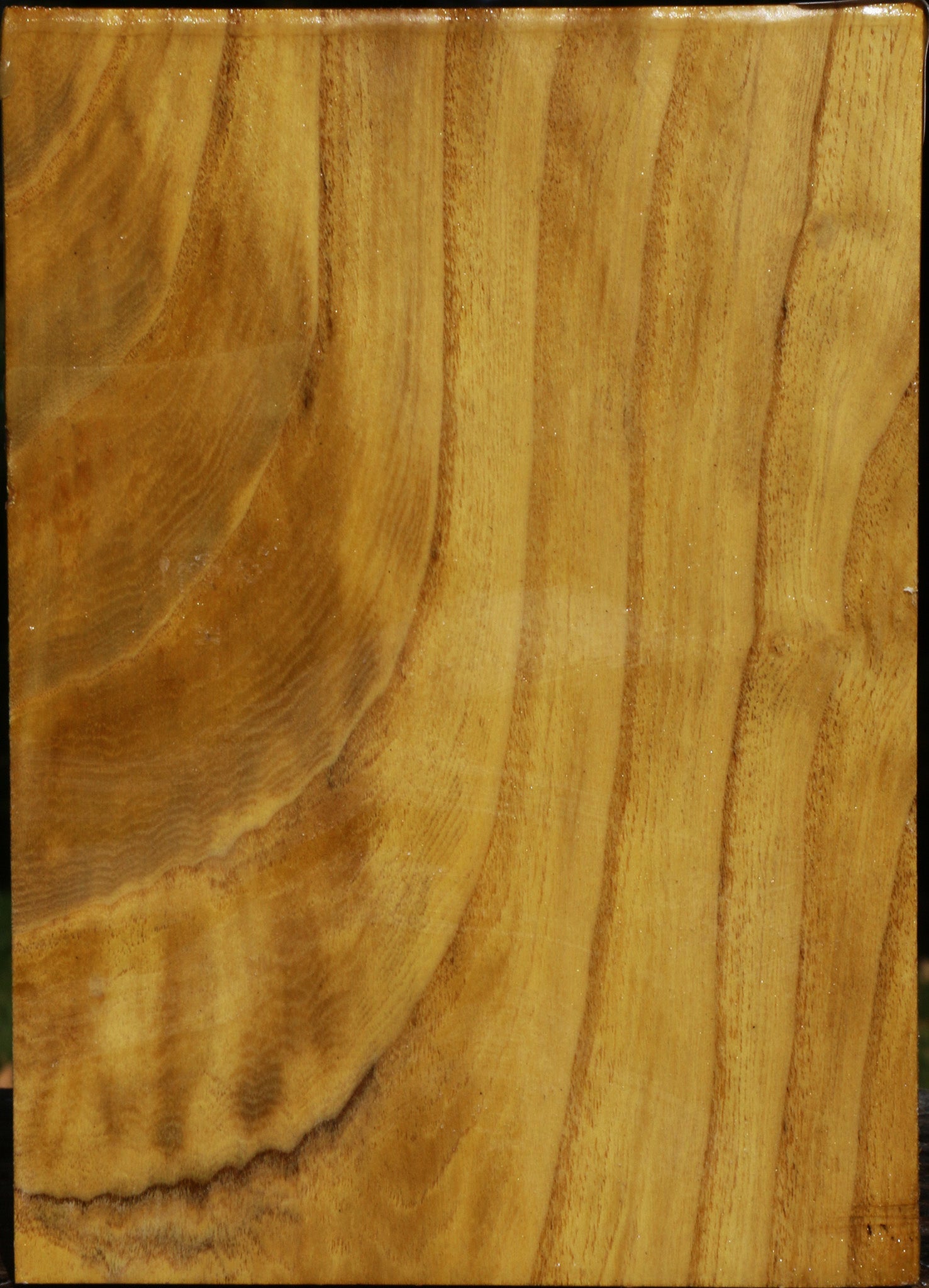 Mulberry Vessel Blank – Cook Woods