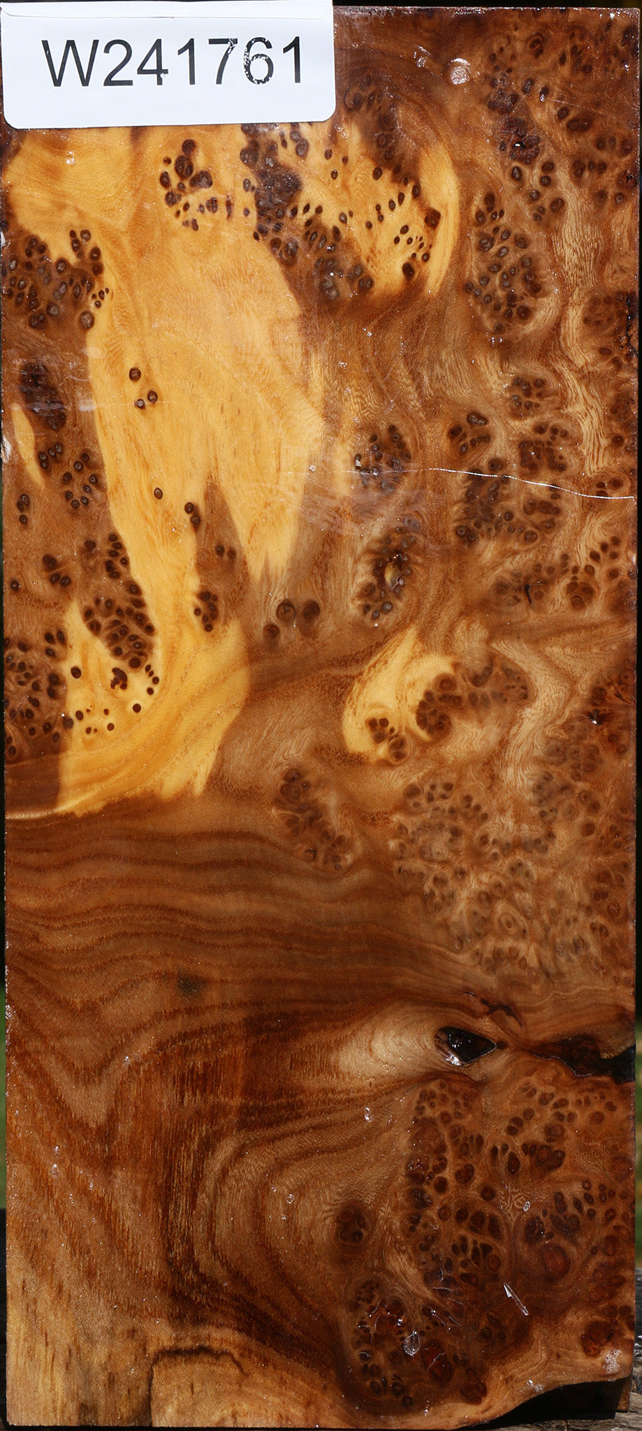 Extra Fancy Elm Burl Vessel Blank – Cook Woods