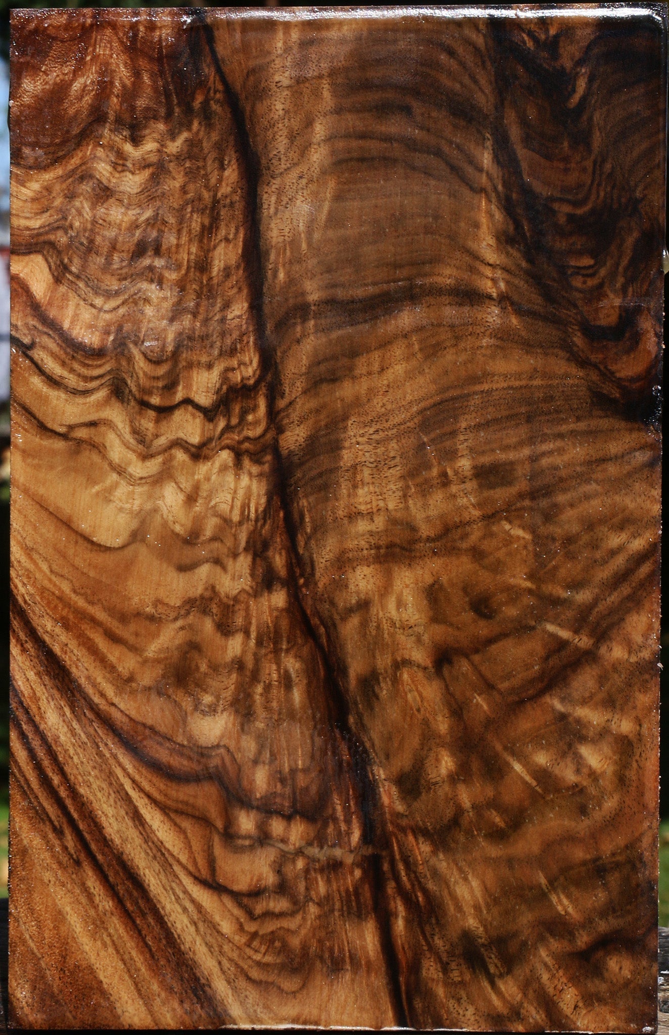 Extra Fancy Claro Walnut Vessel Blank – Cook Woods