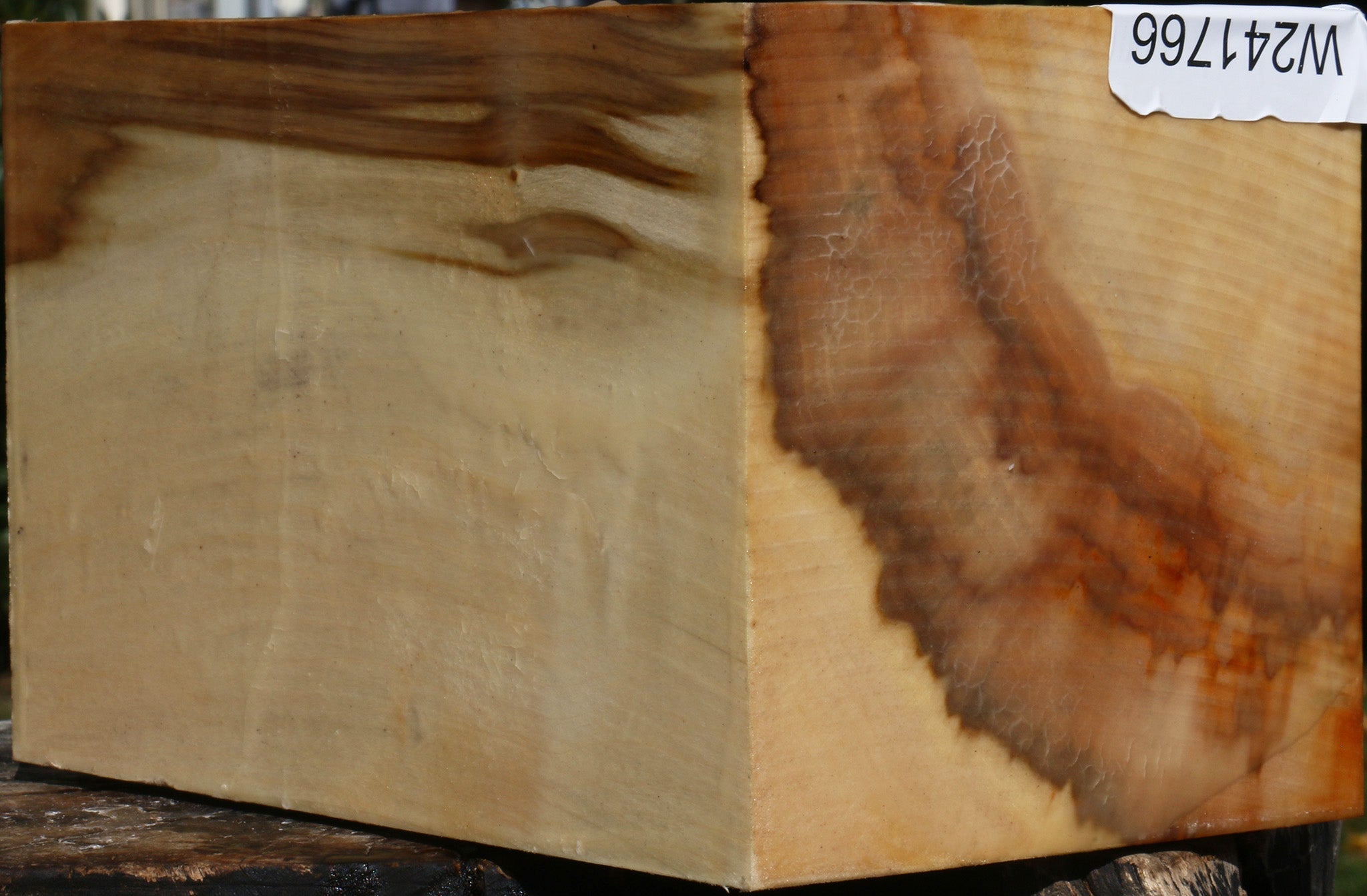 Extra Fancy Box Elder Vessel Blank – Cook Woods