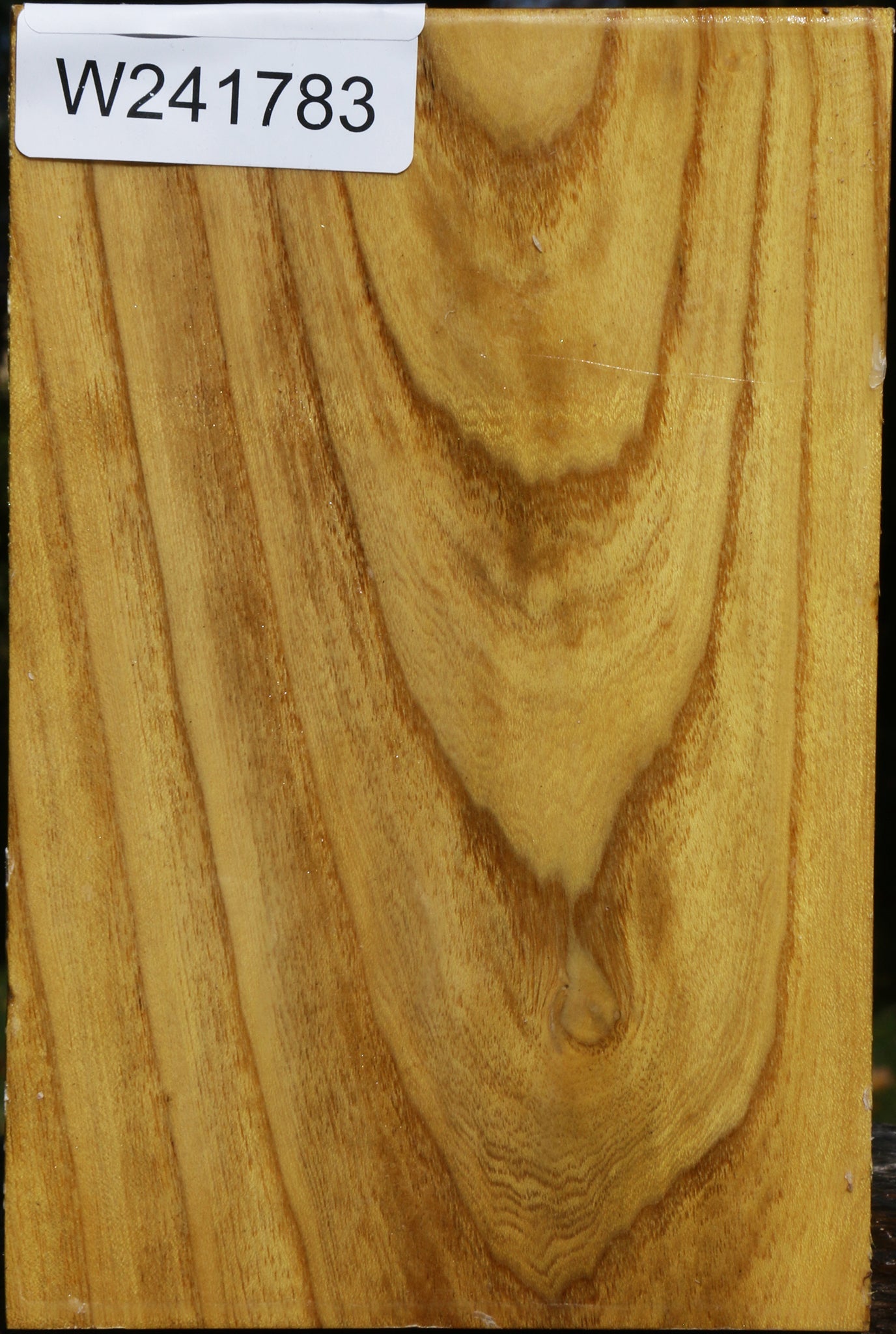 Mulberry Vessel Blank – Cook Woods