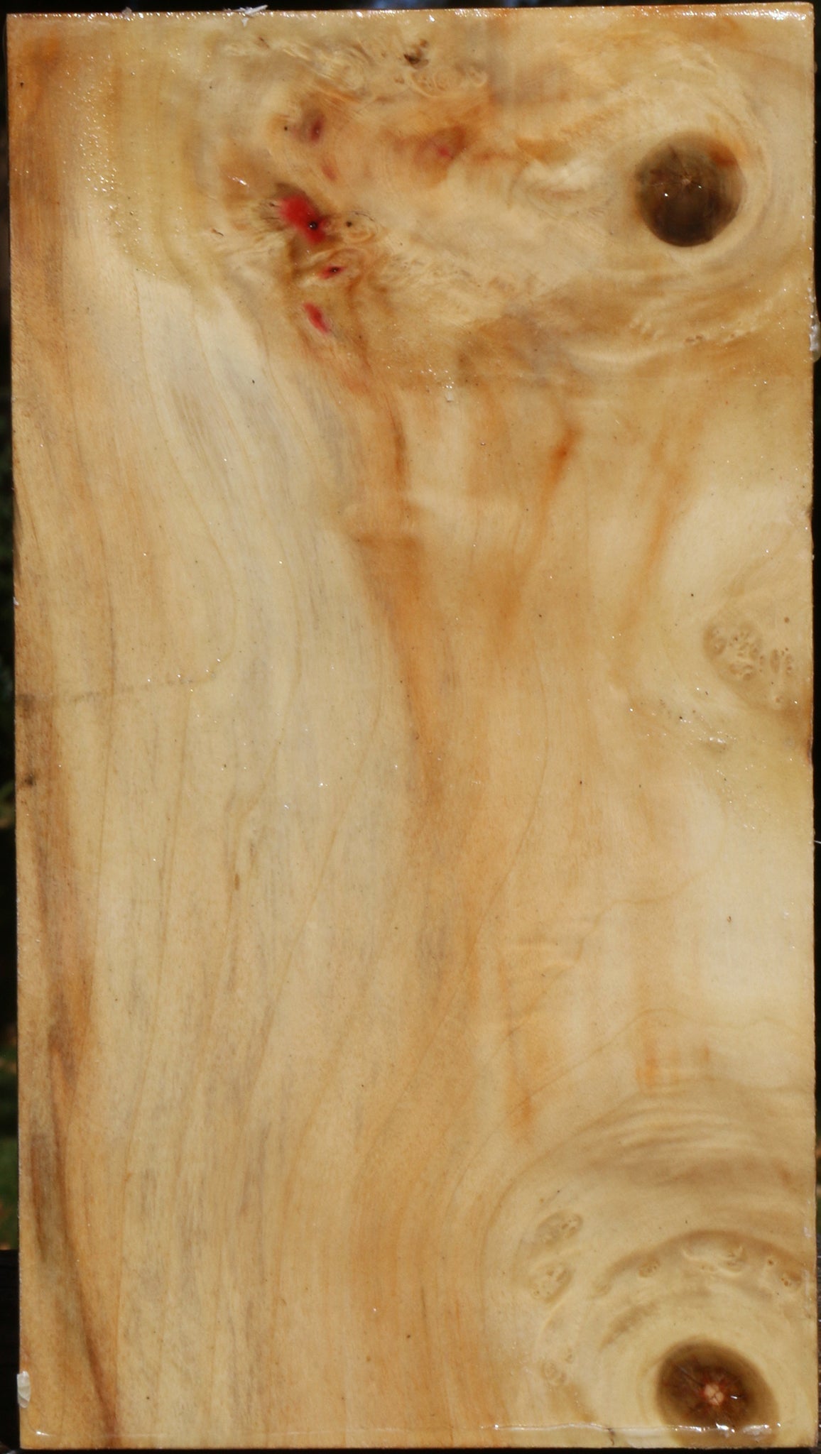 Extra Fancy Box Elder Vessel Blank – Cook Woods