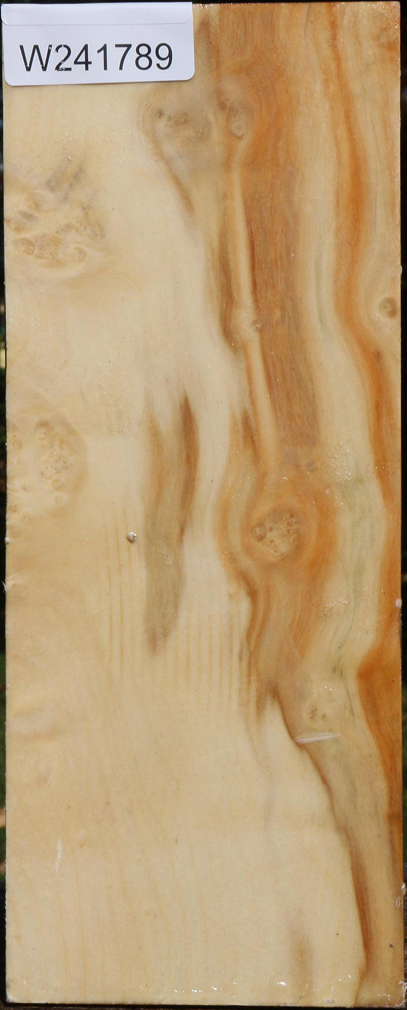 Extra Fancy Box Elder Vessel Blank – Cook Woods