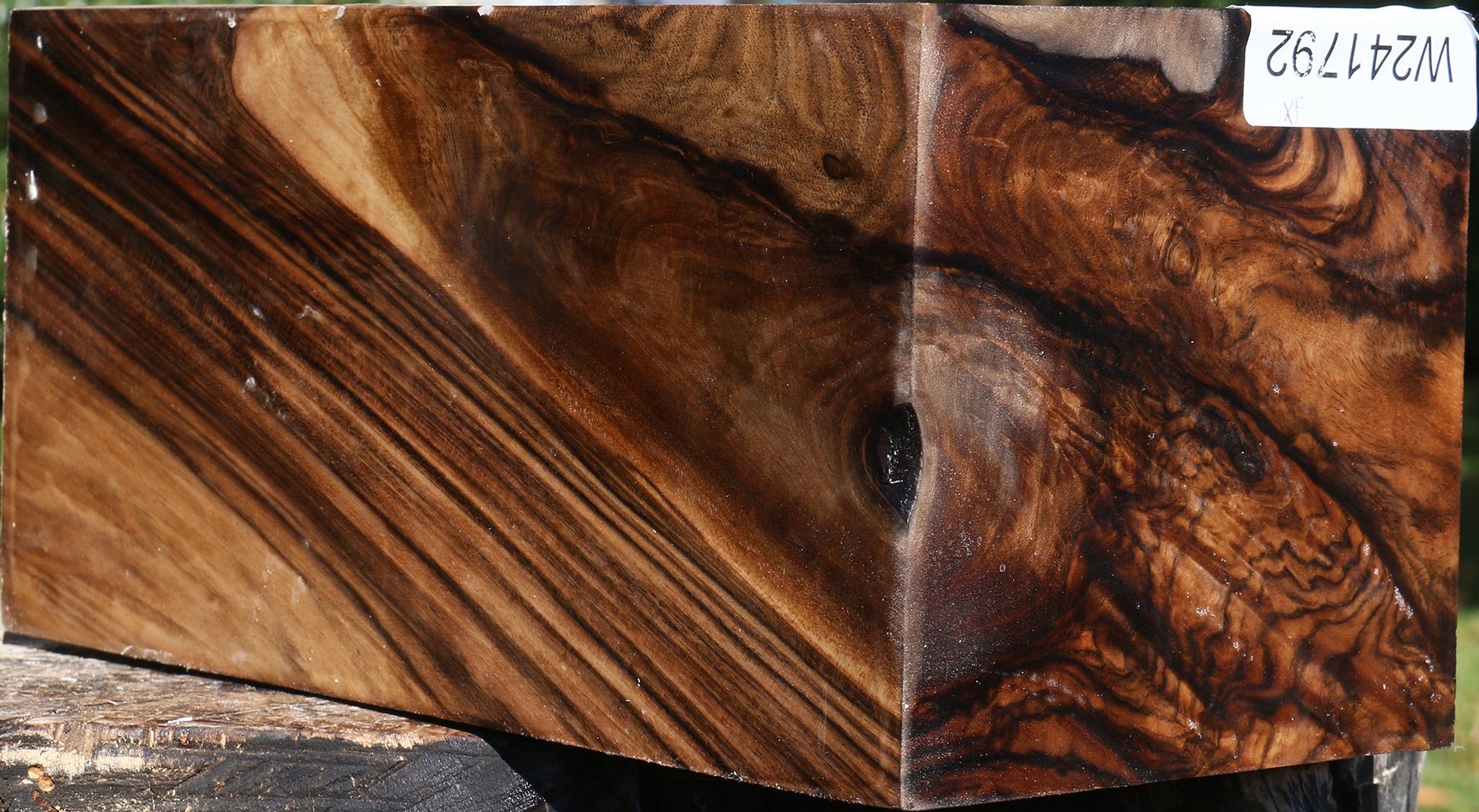 Extra Fancy Claro Walnut Vessel Blank – Cook Woods