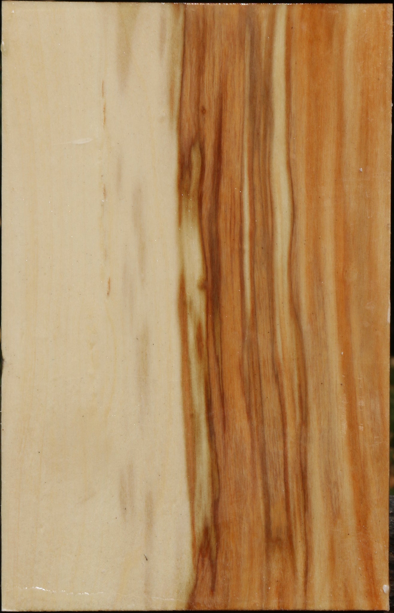 Box Elder Vessel Blank – Cook Woods