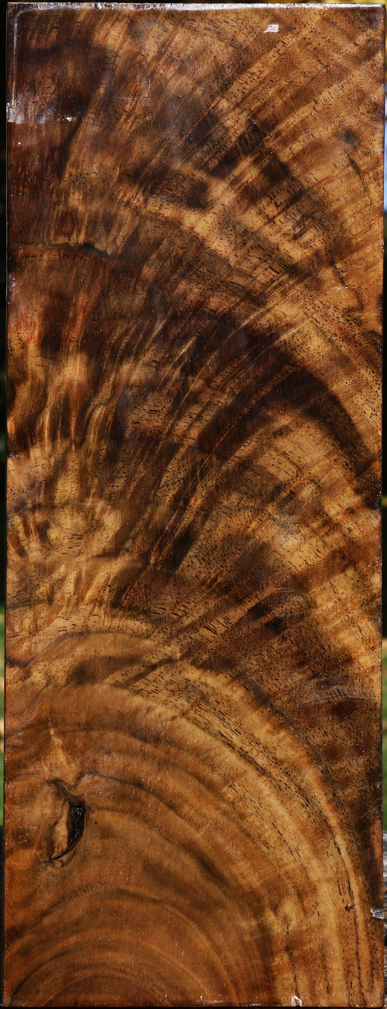 Extra Fancy Claro Walnut Vessel Blank – Cook Woods