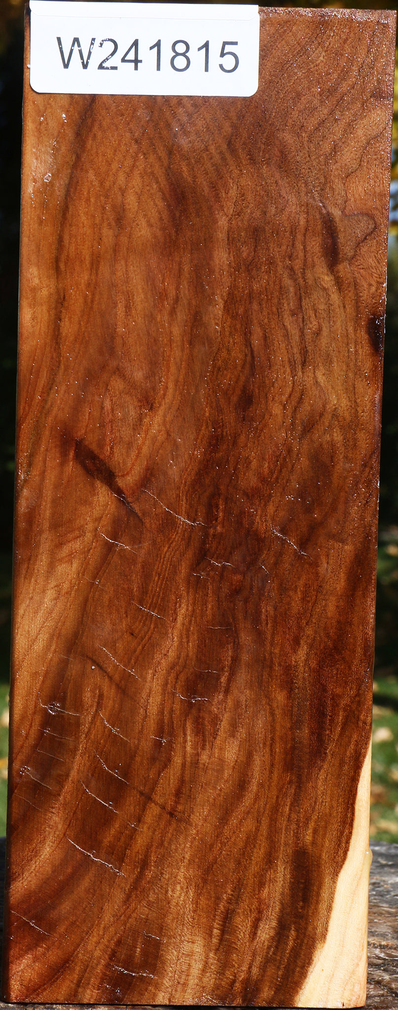 Figured Elm Vessel Blank – Cook Woods