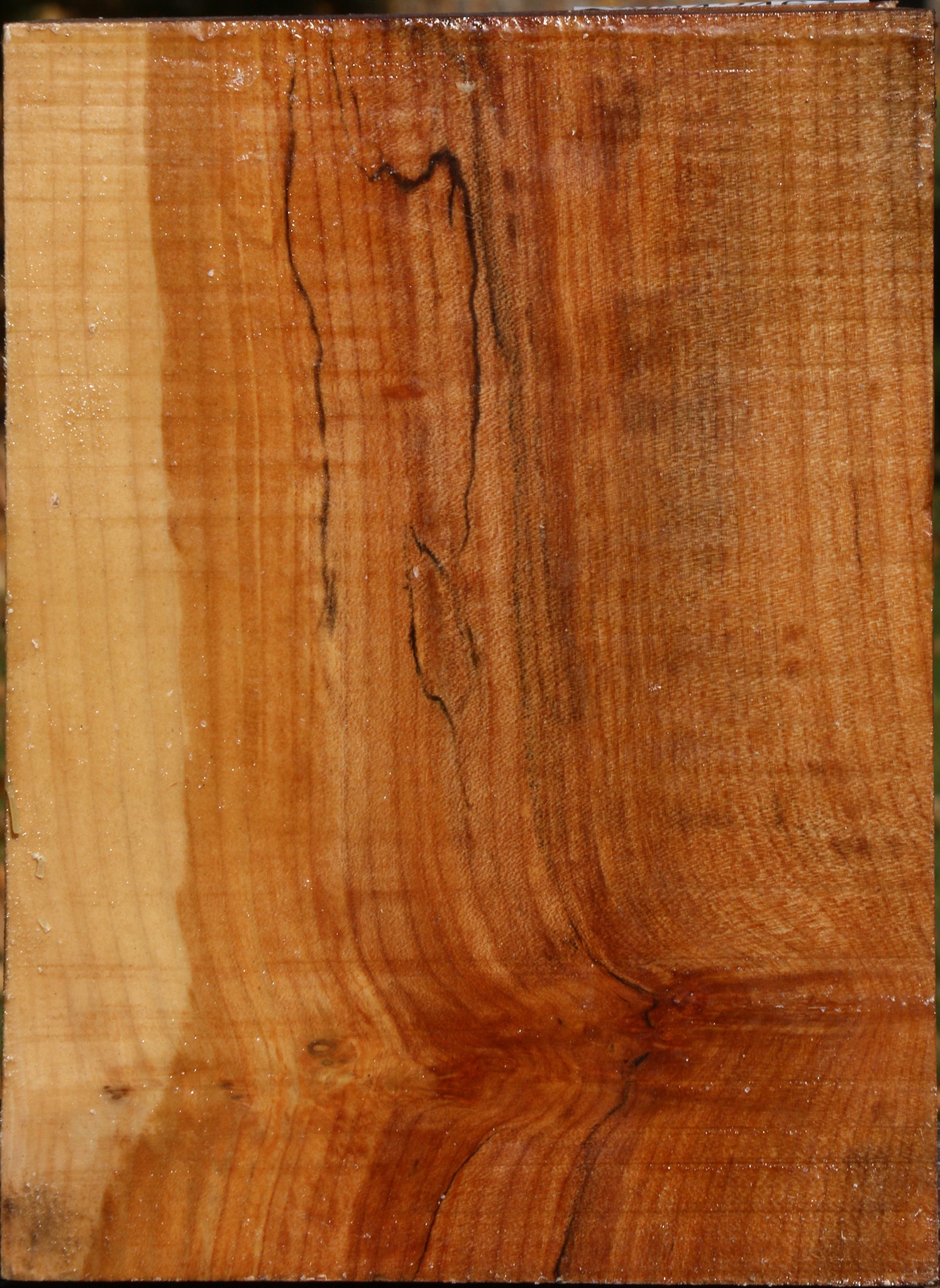 Spalted Maple Vessel Blank – Cook Woods