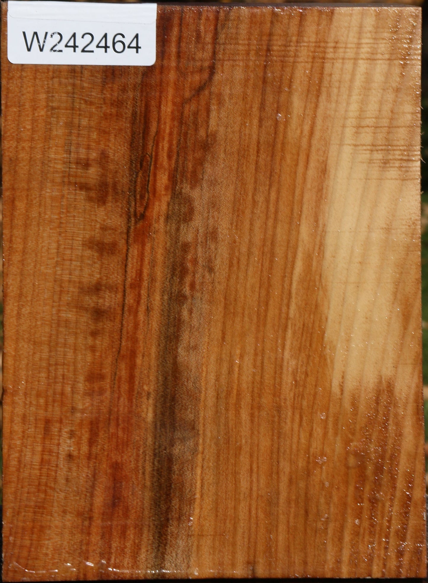 Spalted Maple Vessel Blank – Cook Woods