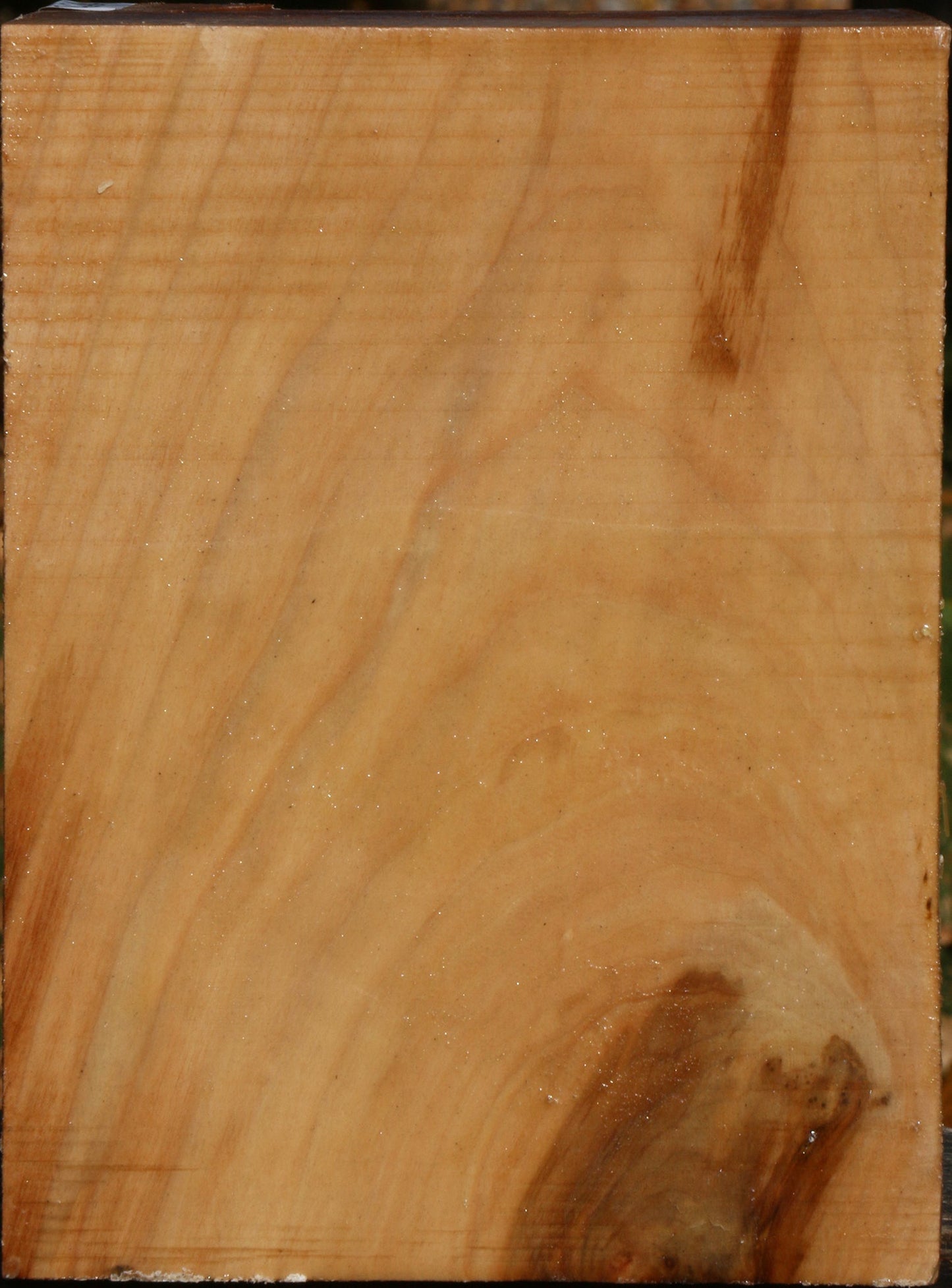 Spalted Maple Vessel Blank – Cook Woods