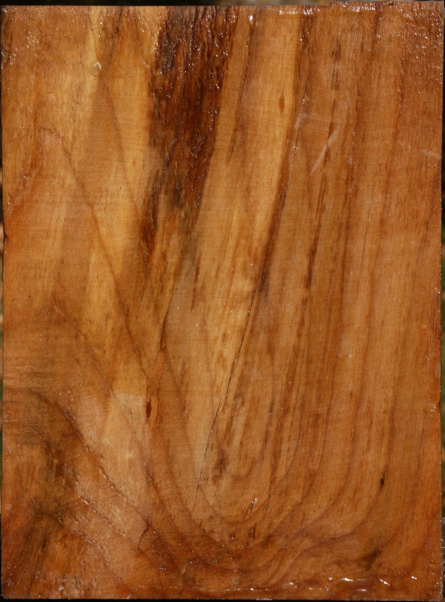 Spalted Maple Vessel Blank – Cook Woods